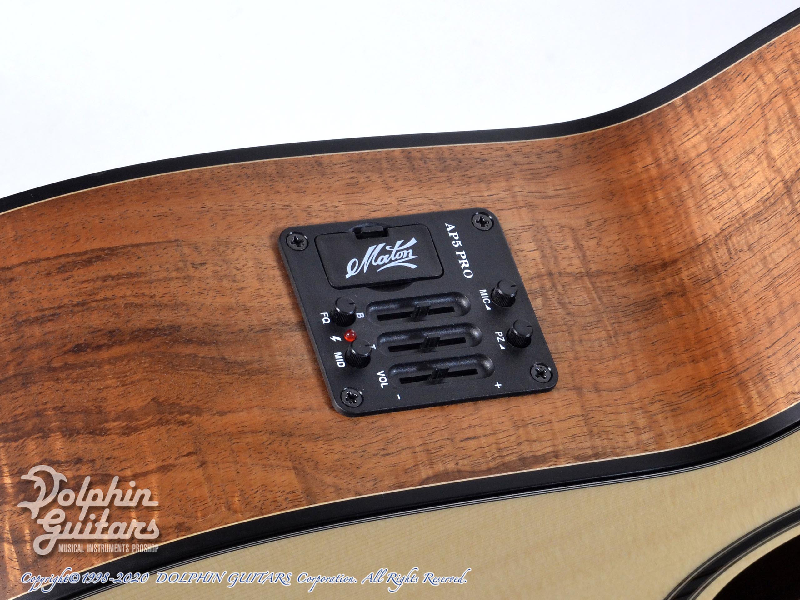 MATON The Vera May - ドルフィンギターズ