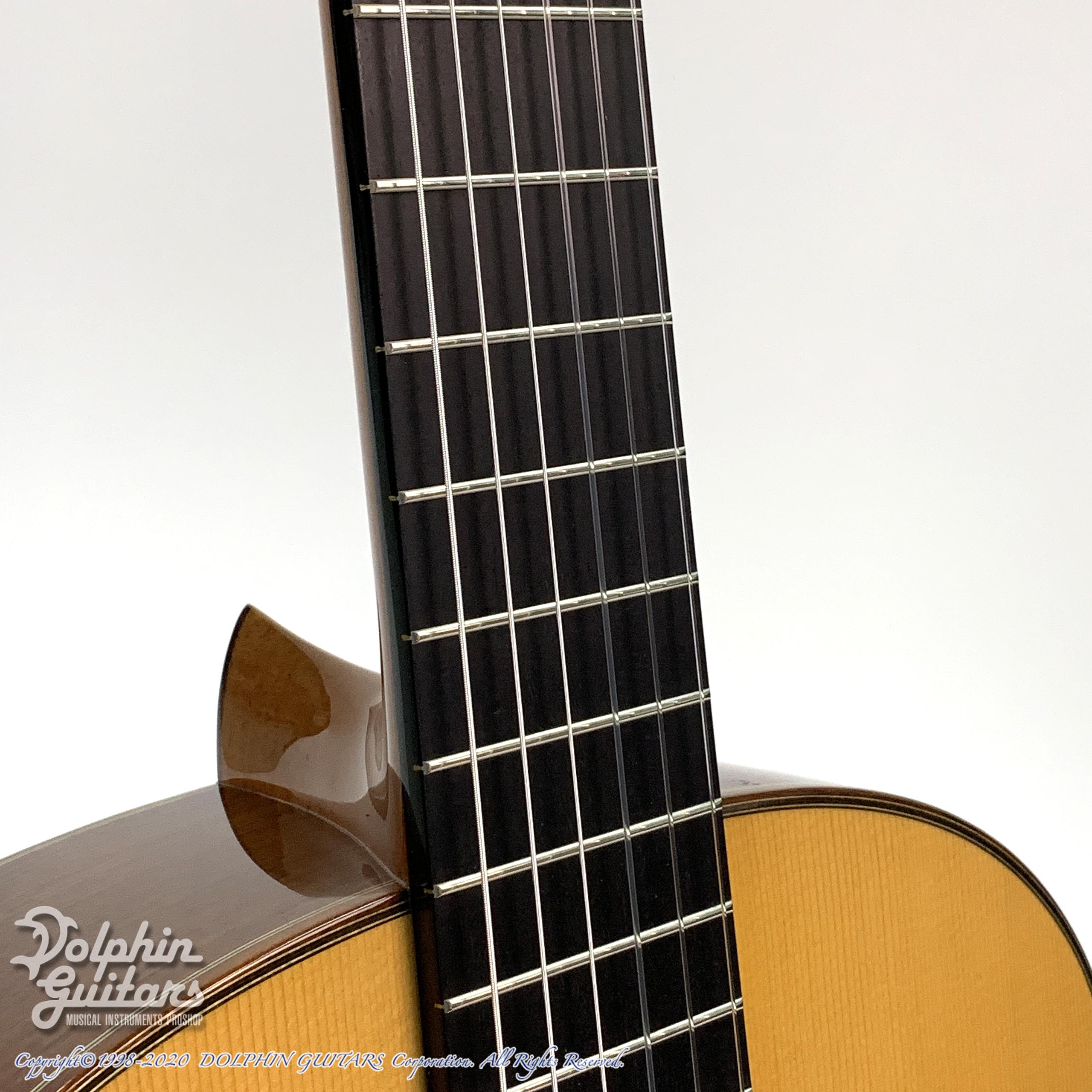 SAKURAI KOHNO（河野ギター） Professional J - ドルフィンギターズ