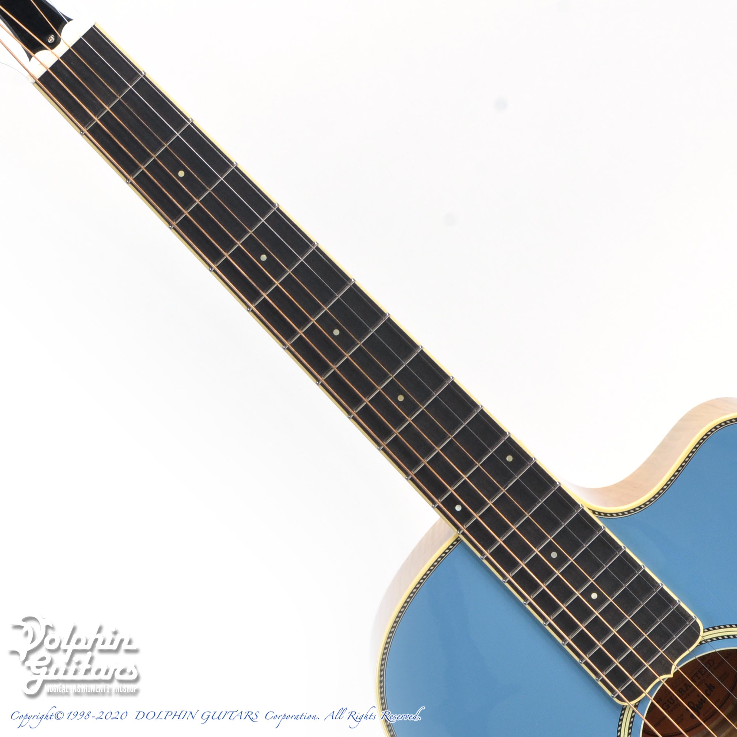 SWITCH SL-1 Bee MP (Blue Gray) - ドルフィンギターズ