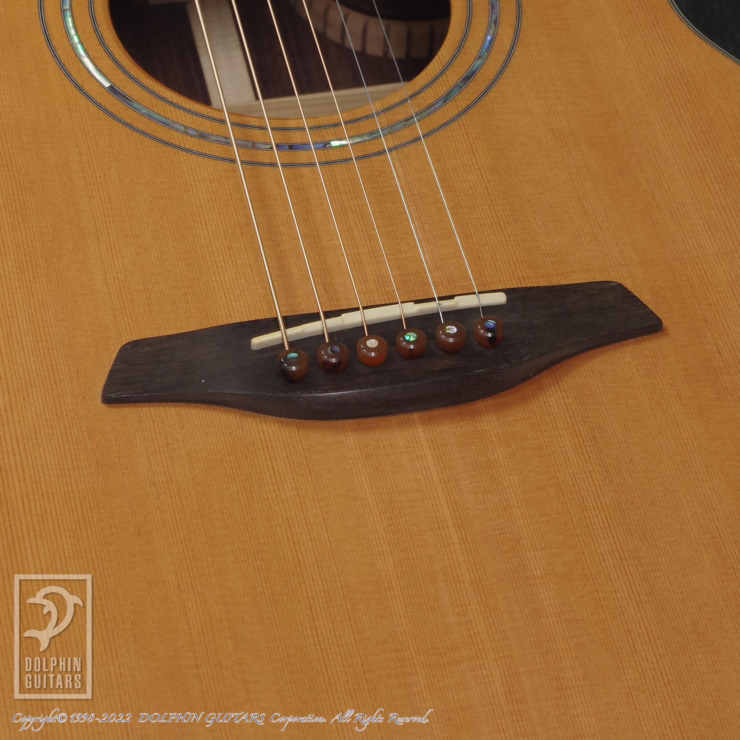 FURCH G23-CRCT - ドルフィンギターズ