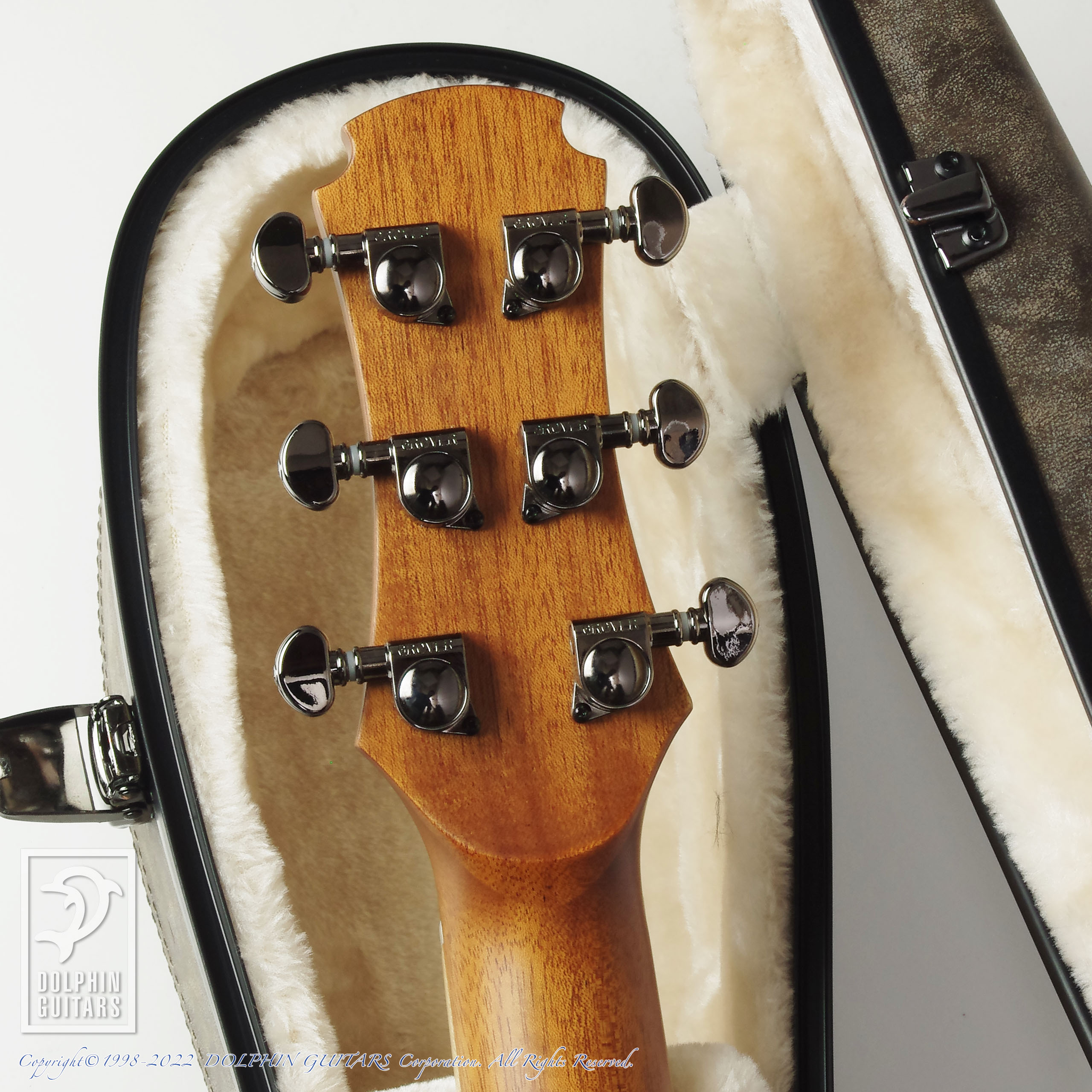 Maestro Guitars Victoria IR CSB - ドルフィンギターズ