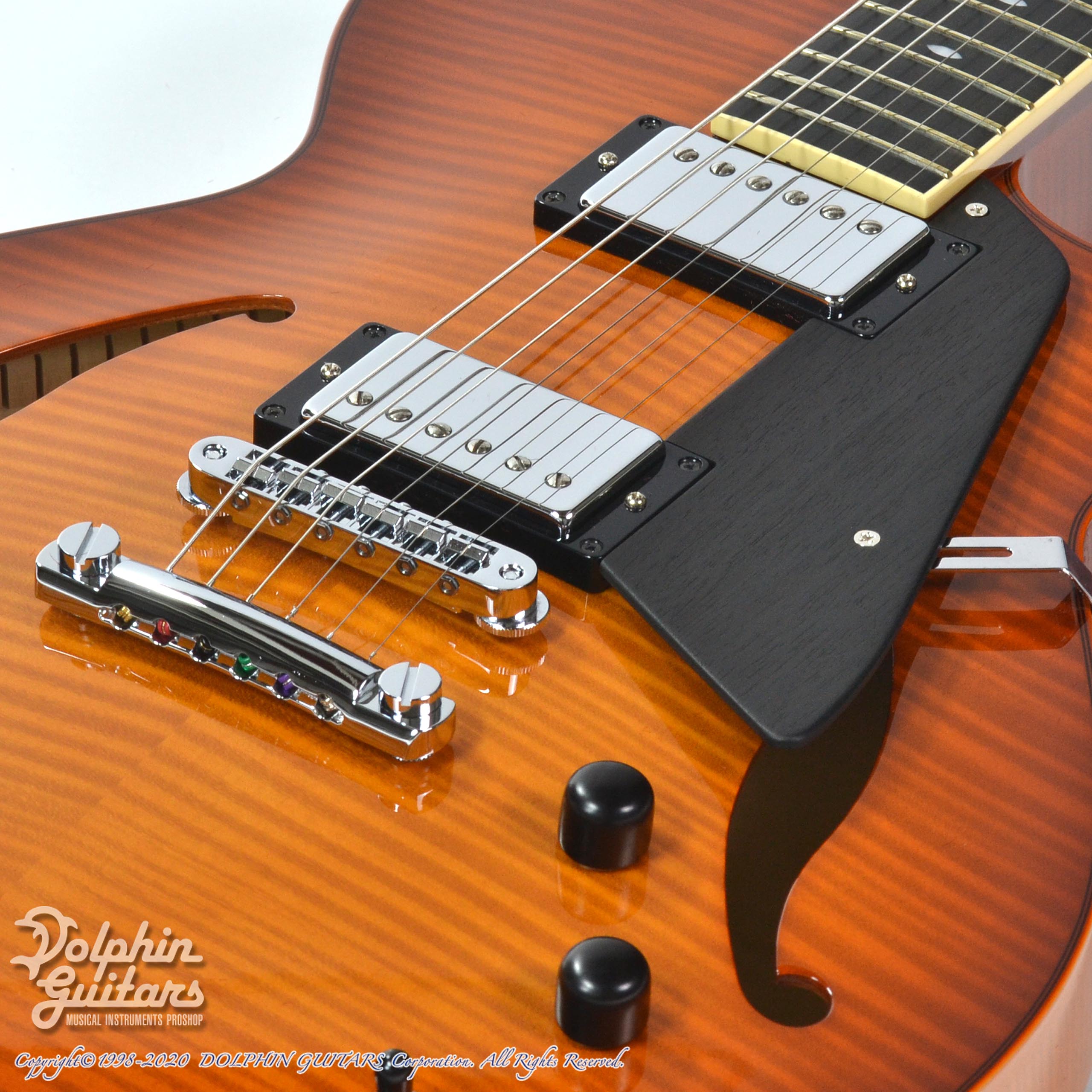 SADOWSKY Semi Hollow Model (VLB) - ドルフィンギターズ