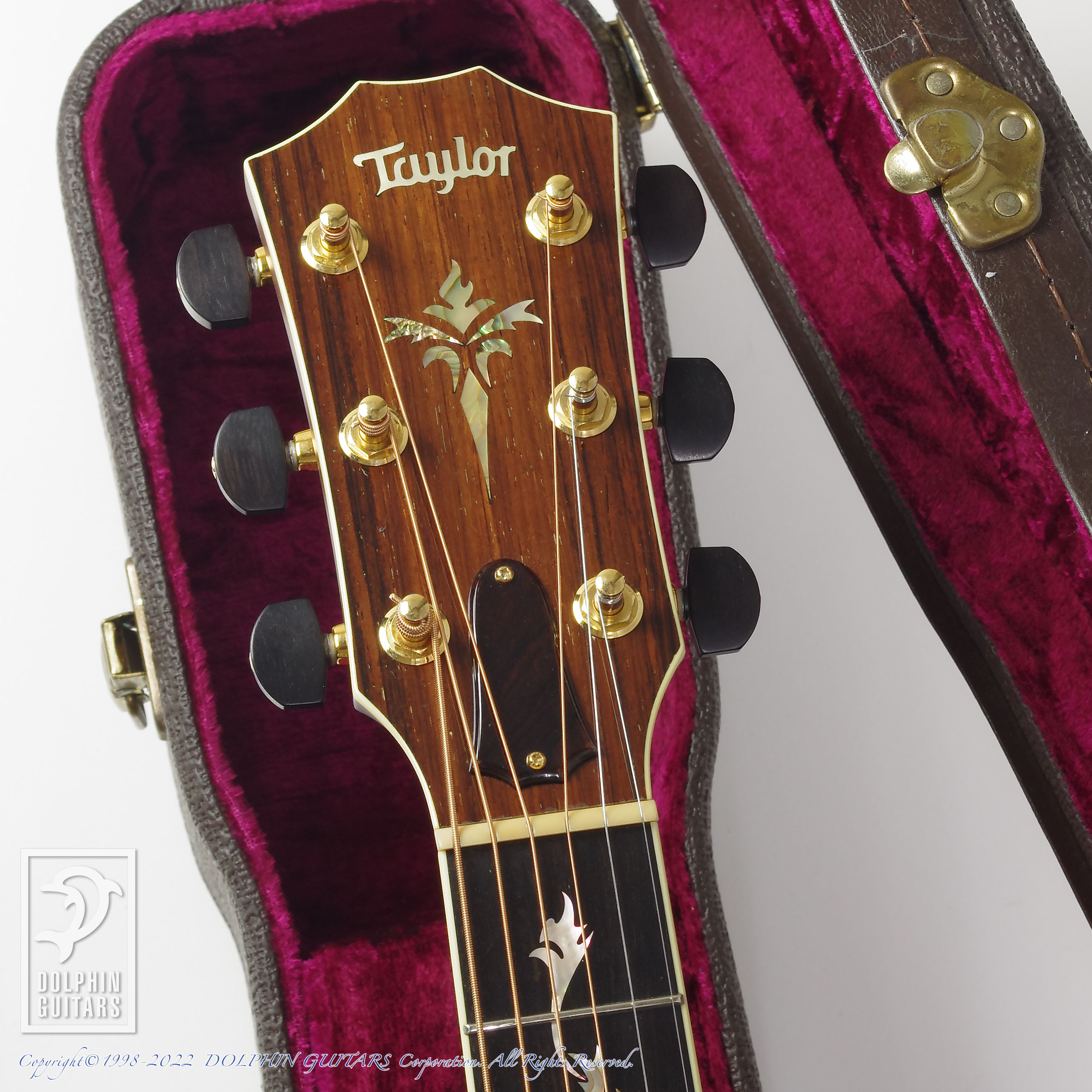TAYLOR PS-15 (Jacaranda) - ドルフィンギターズ