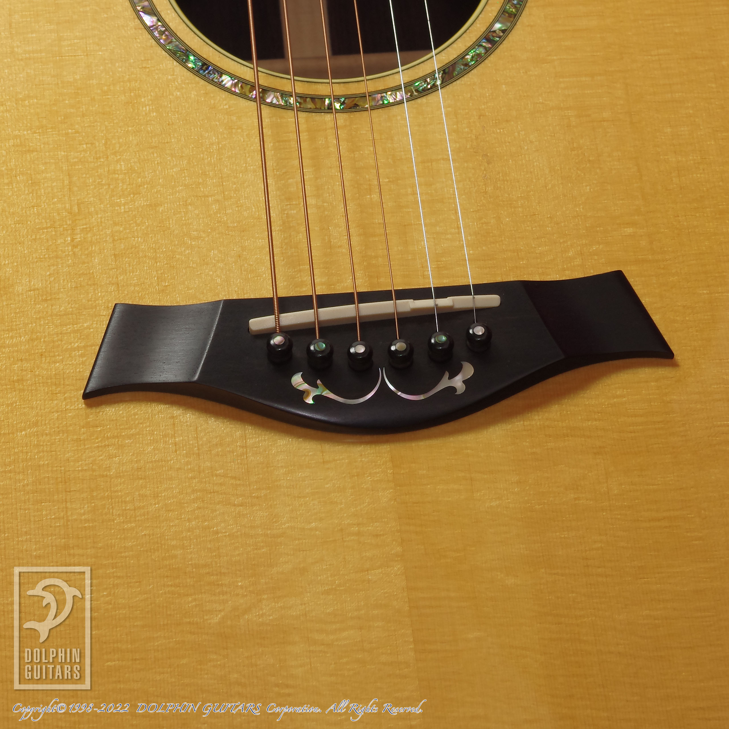 TAYLOR PS-15 (Jacaranda) - ドルフィンギターズ