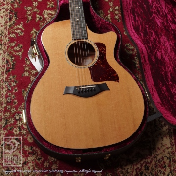 TAYLOR 916ce - ドルフィンギターズ