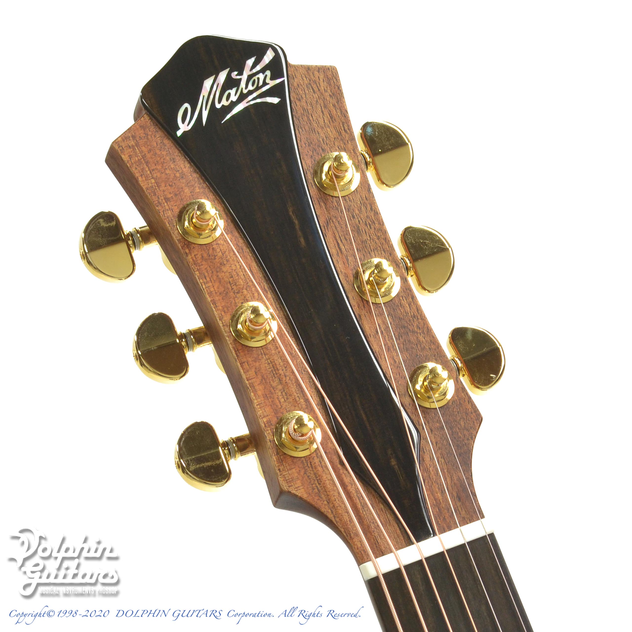 MATON The Vera May - ドルフィンギターズ