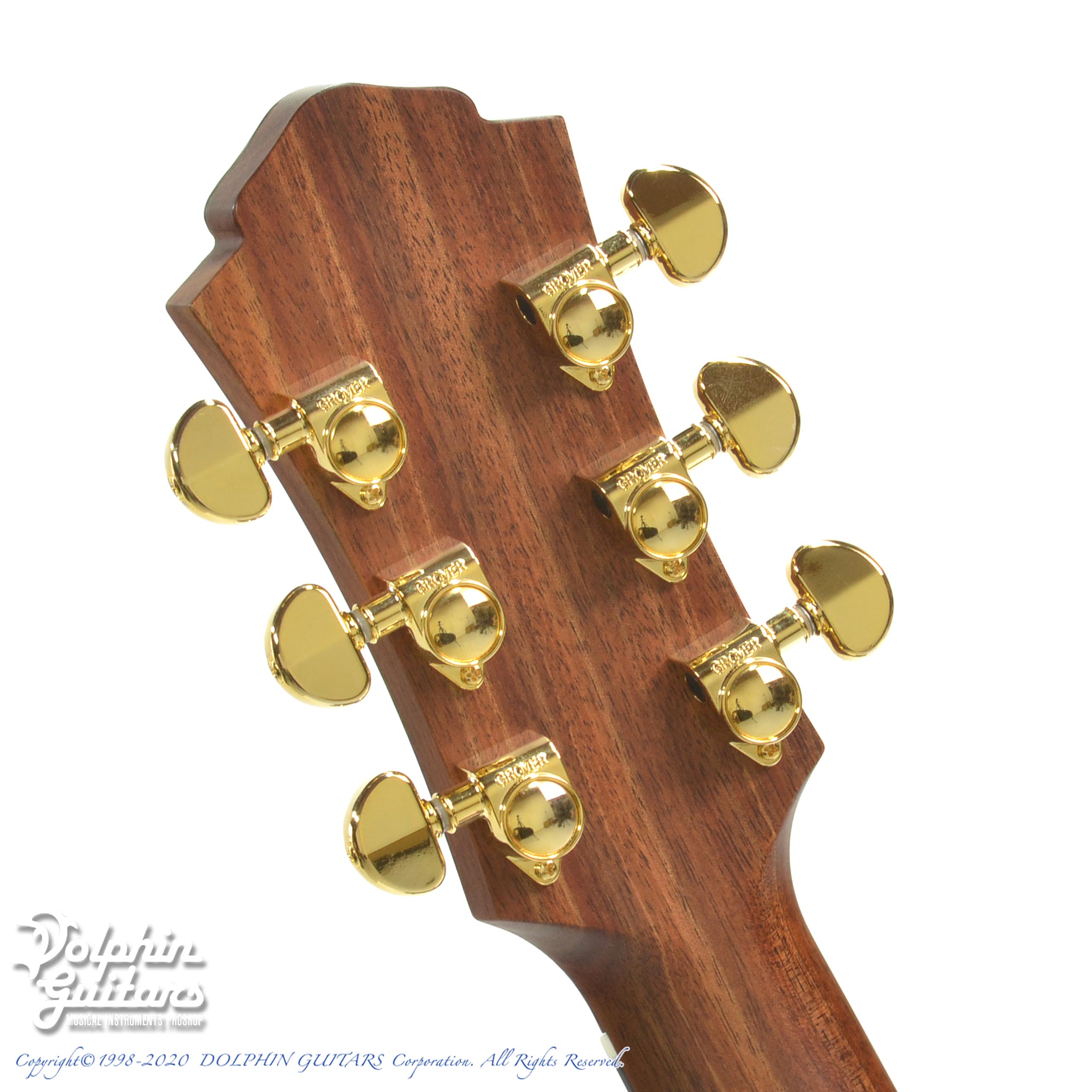 MATON The Vera May - ドルフィンギターズ