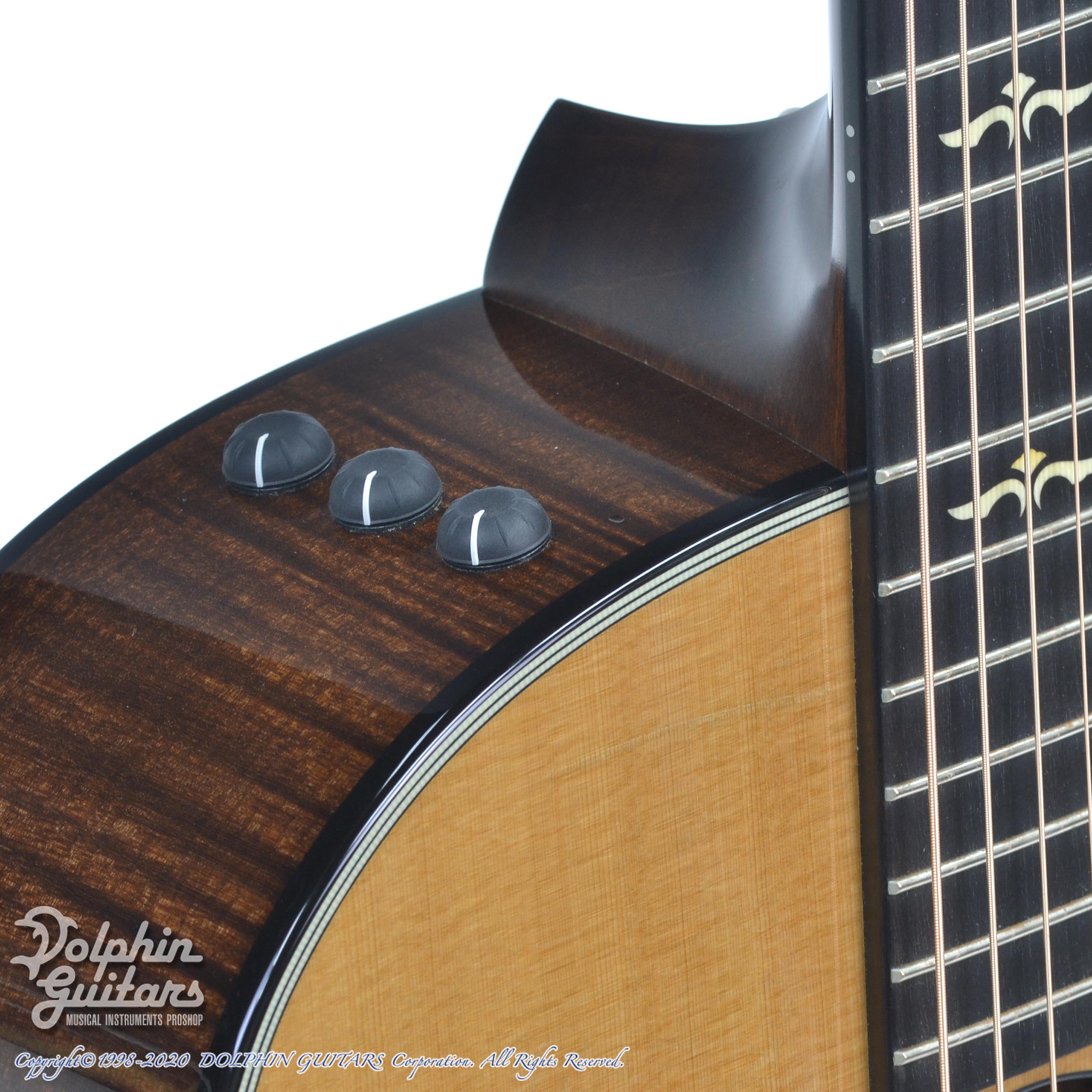 TAYLOR 614ce LTD - ドルフィンギターズ
