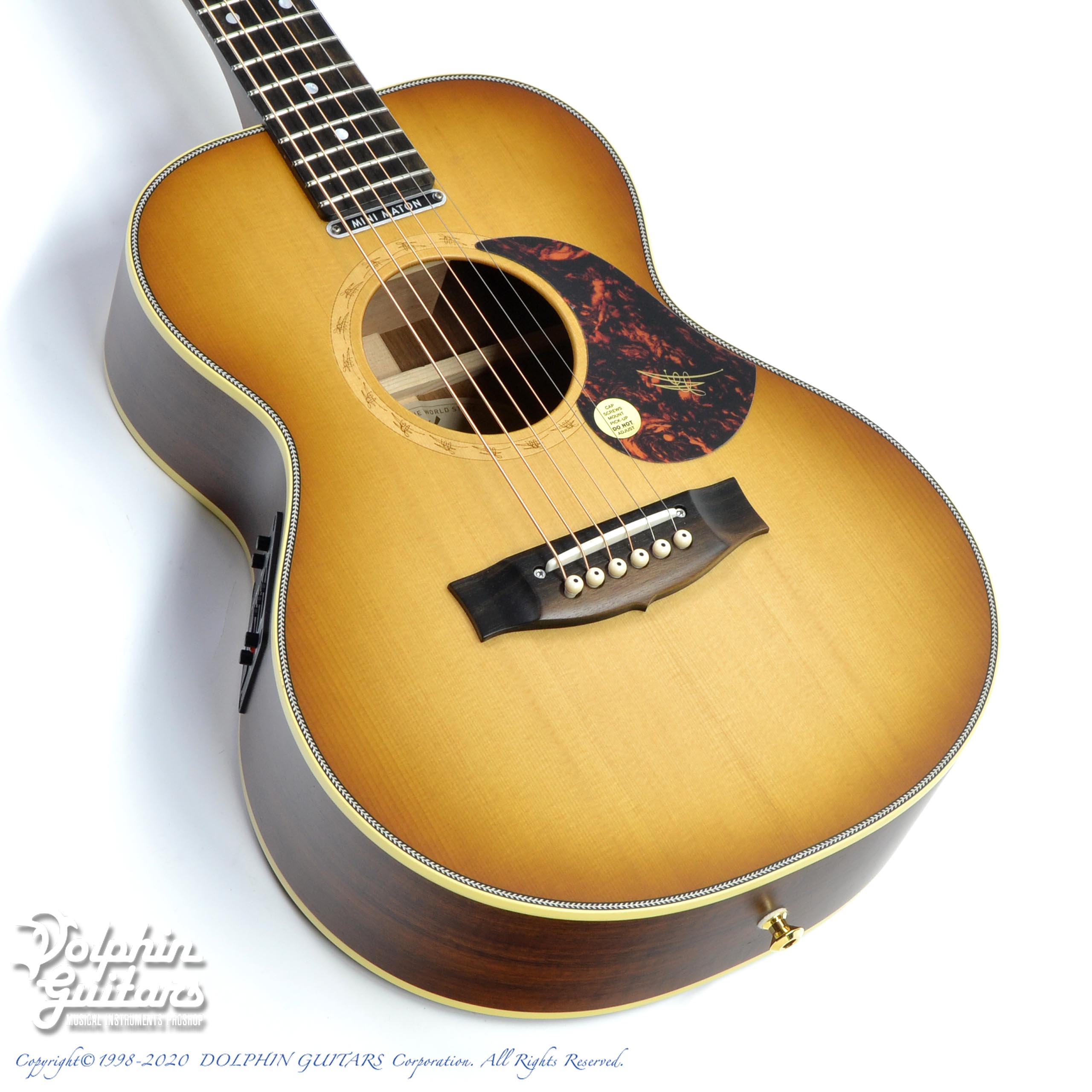 MATON EMD6 (Mini Maton Diesel Special) - ドルフィンギターズ