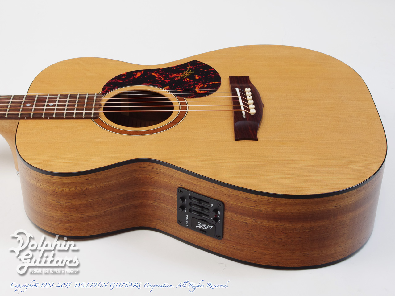 MATON SRS808 - ドルフィンギターズ