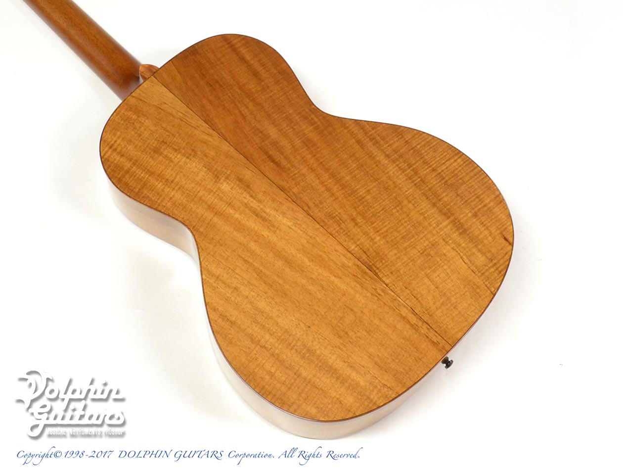 SANTA CRUZ H Model Koa (Hawaiian Koawood) - ドルフィンギターズ