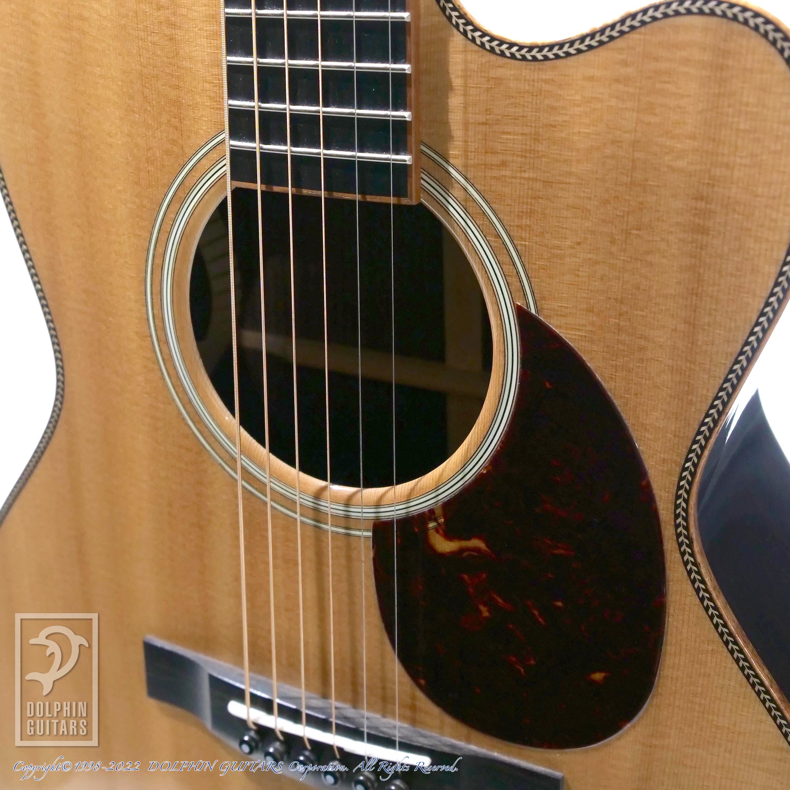 SANTA CRUZ H Model Cutaway - ドルフィンギターズ