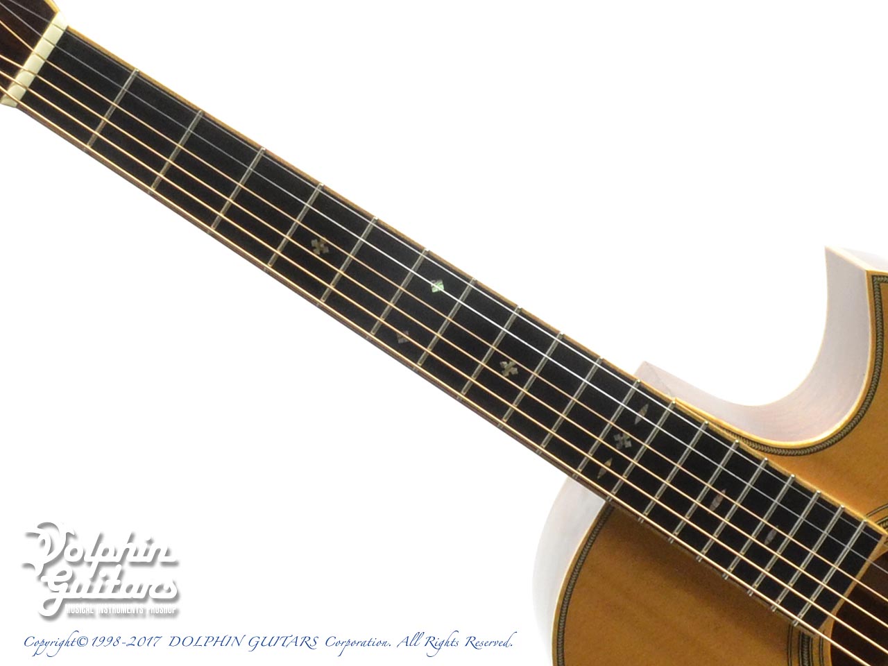 GALLAGHER GC70 Custom - ドルフィンギターズ