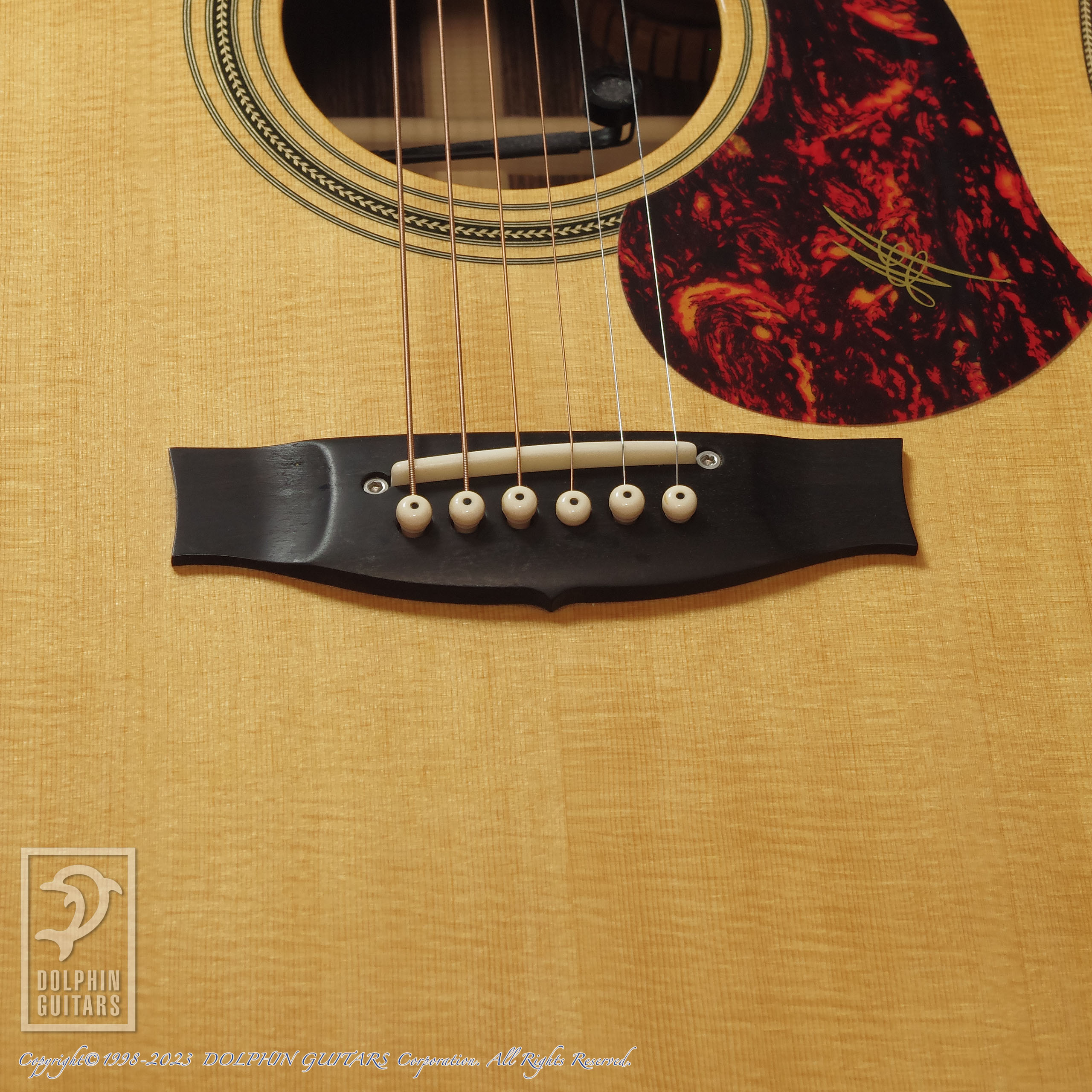MATON EM100C Messiah (Dreadnought Cutaway) - ドルフィンギターズ
