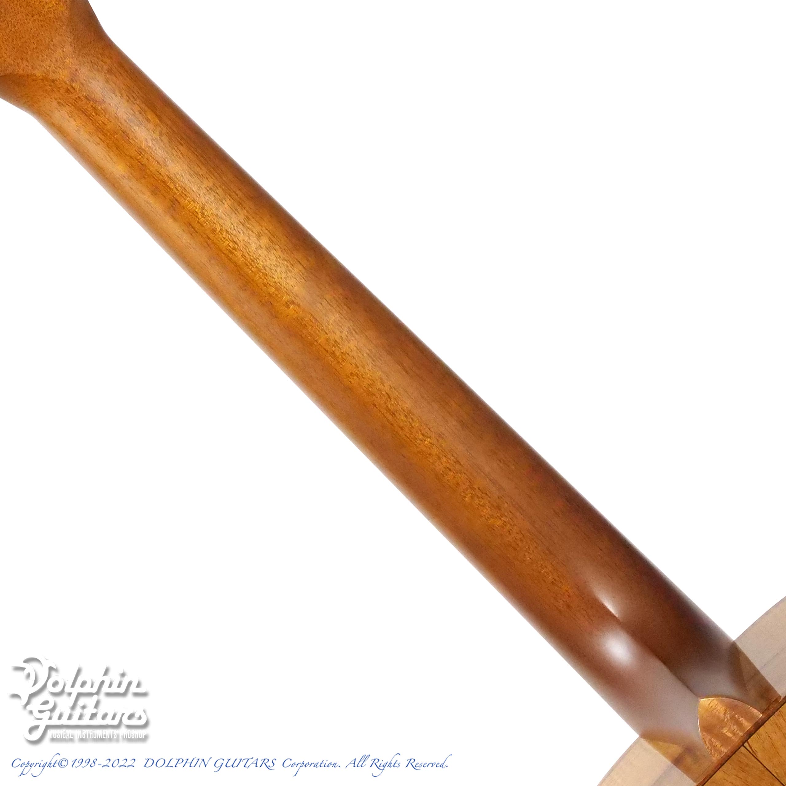 SANTA CRUZ H Model Koa - ドルフィンギターズ