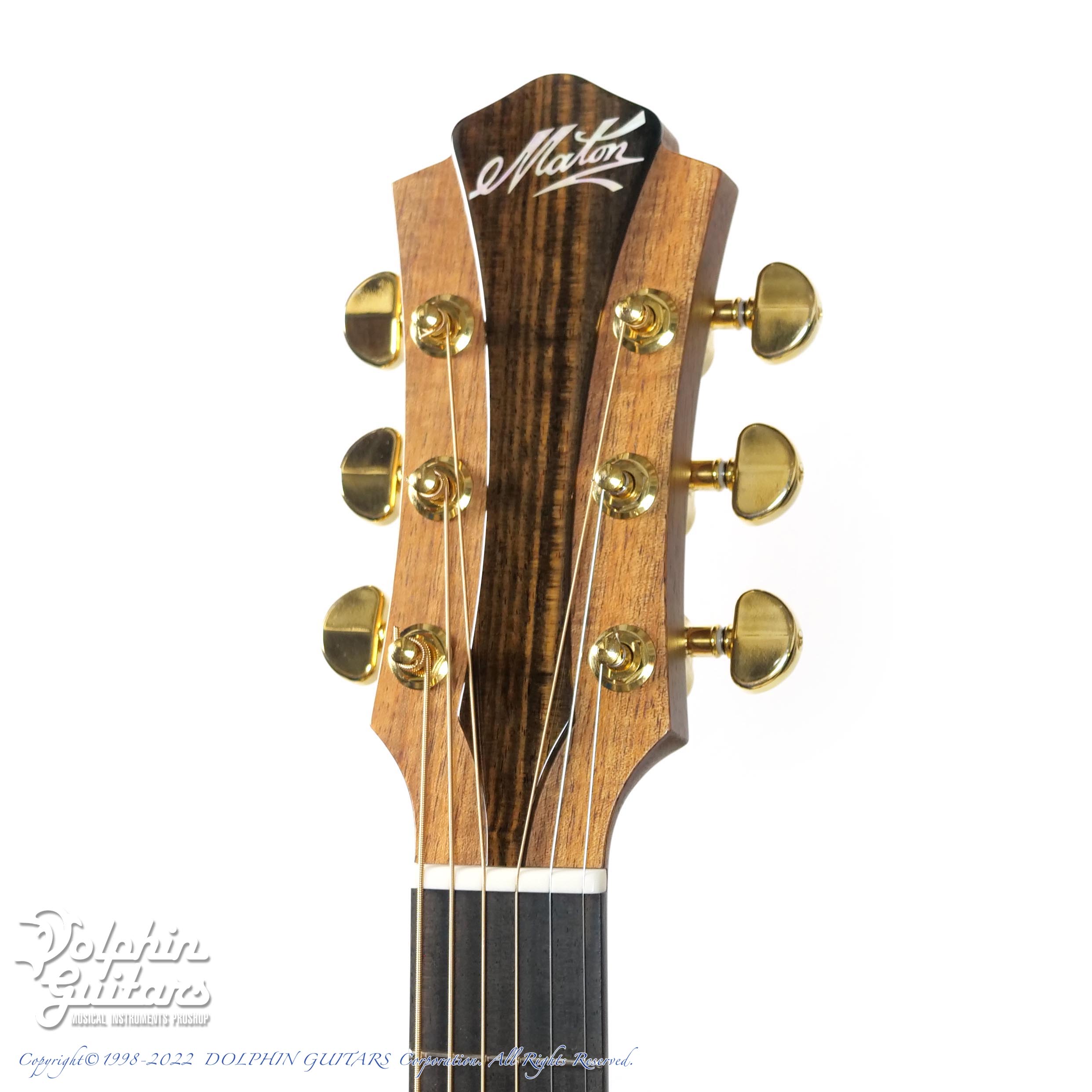 MATON The Vera May - ドルフィンギターズ