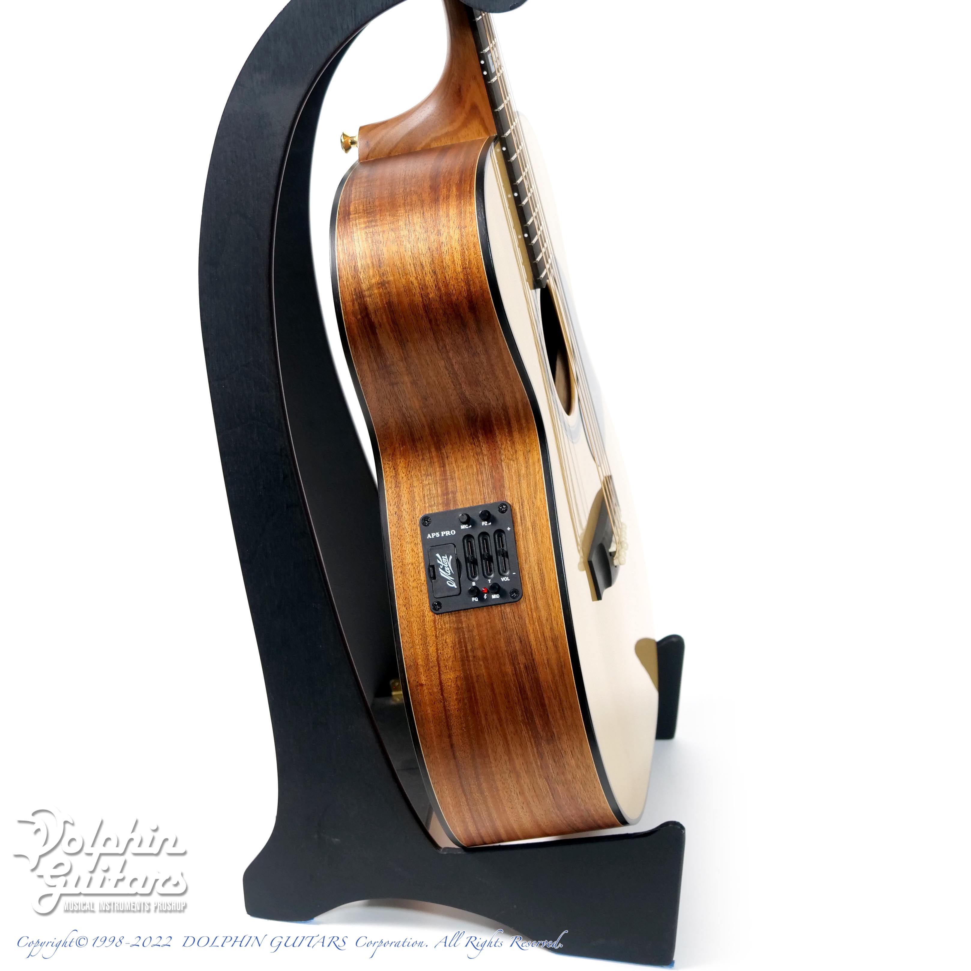 MATON The Vera May - ドルフィンギターズ