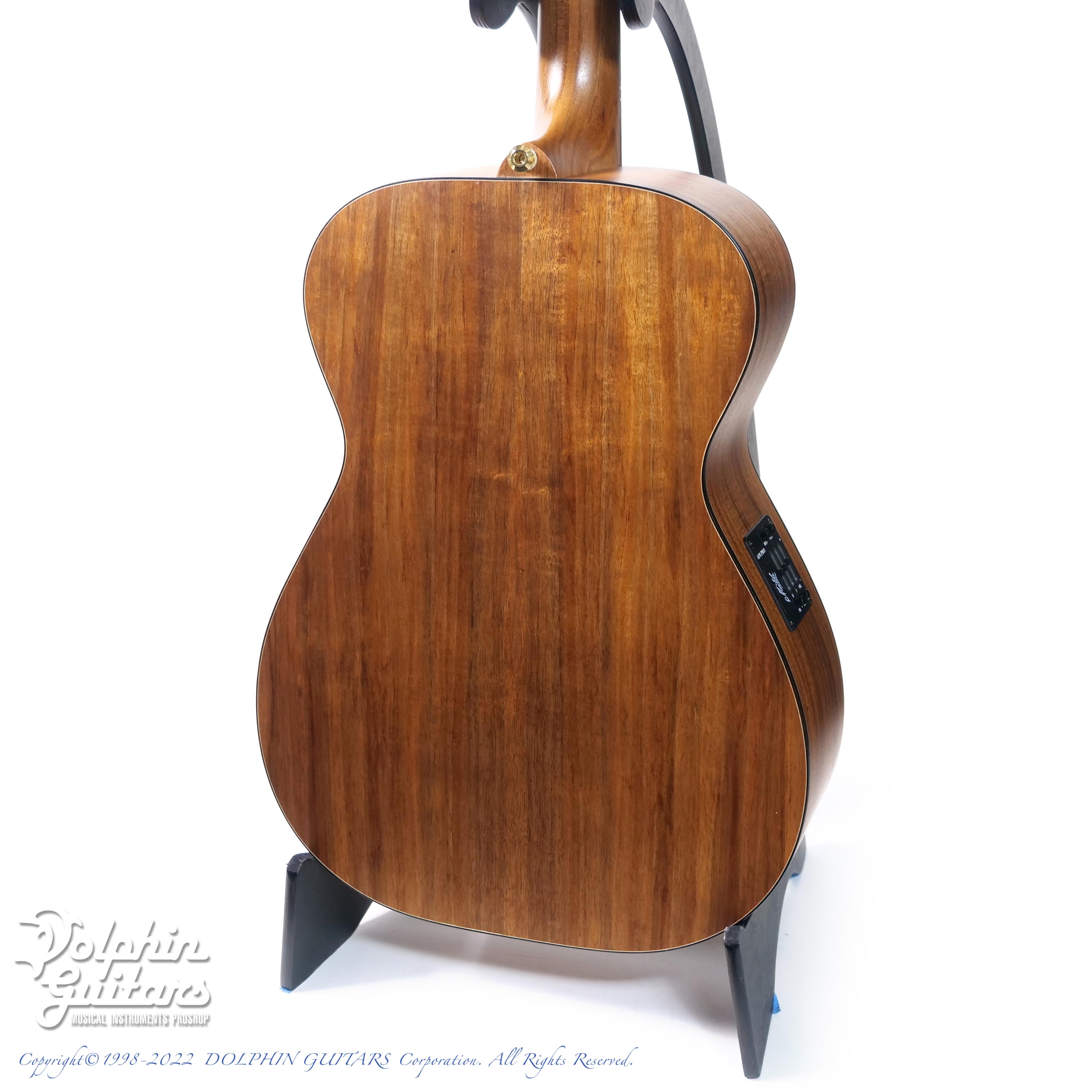 MATON The Vera May - ドルフィンギターズ