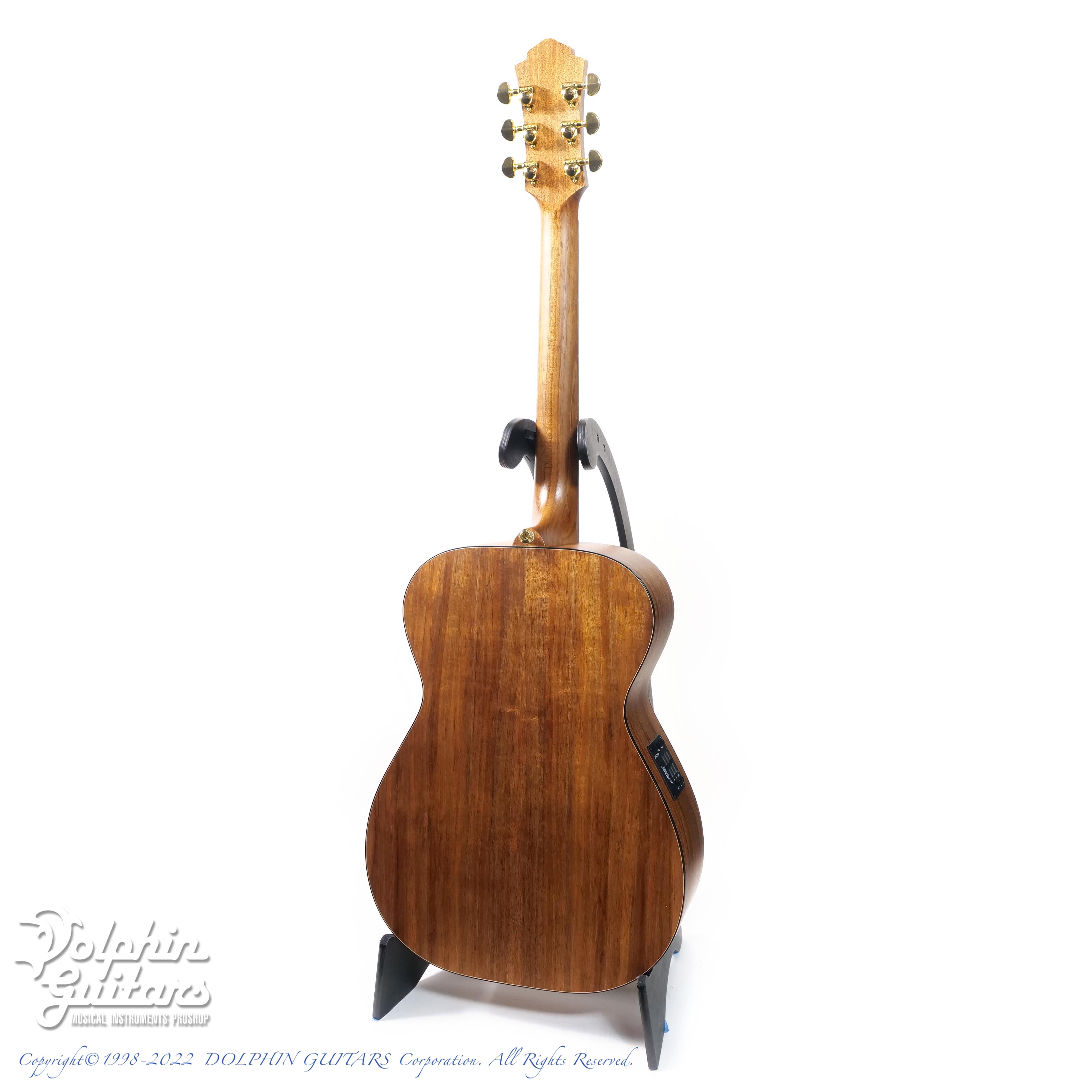 MATON The Vera May - ドルフィンギターズ