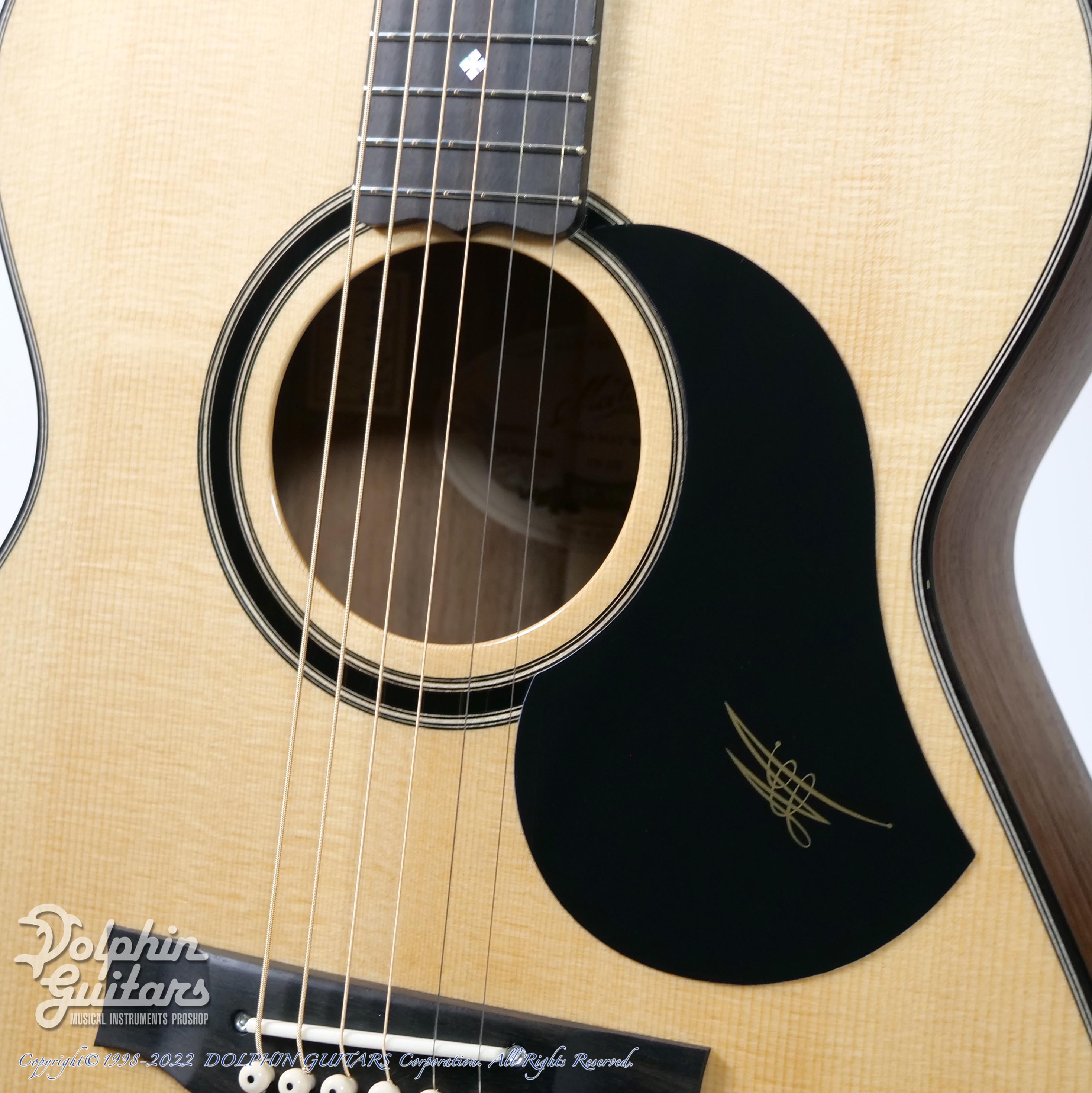 MATON The Vera May - ドルフィンギターズ