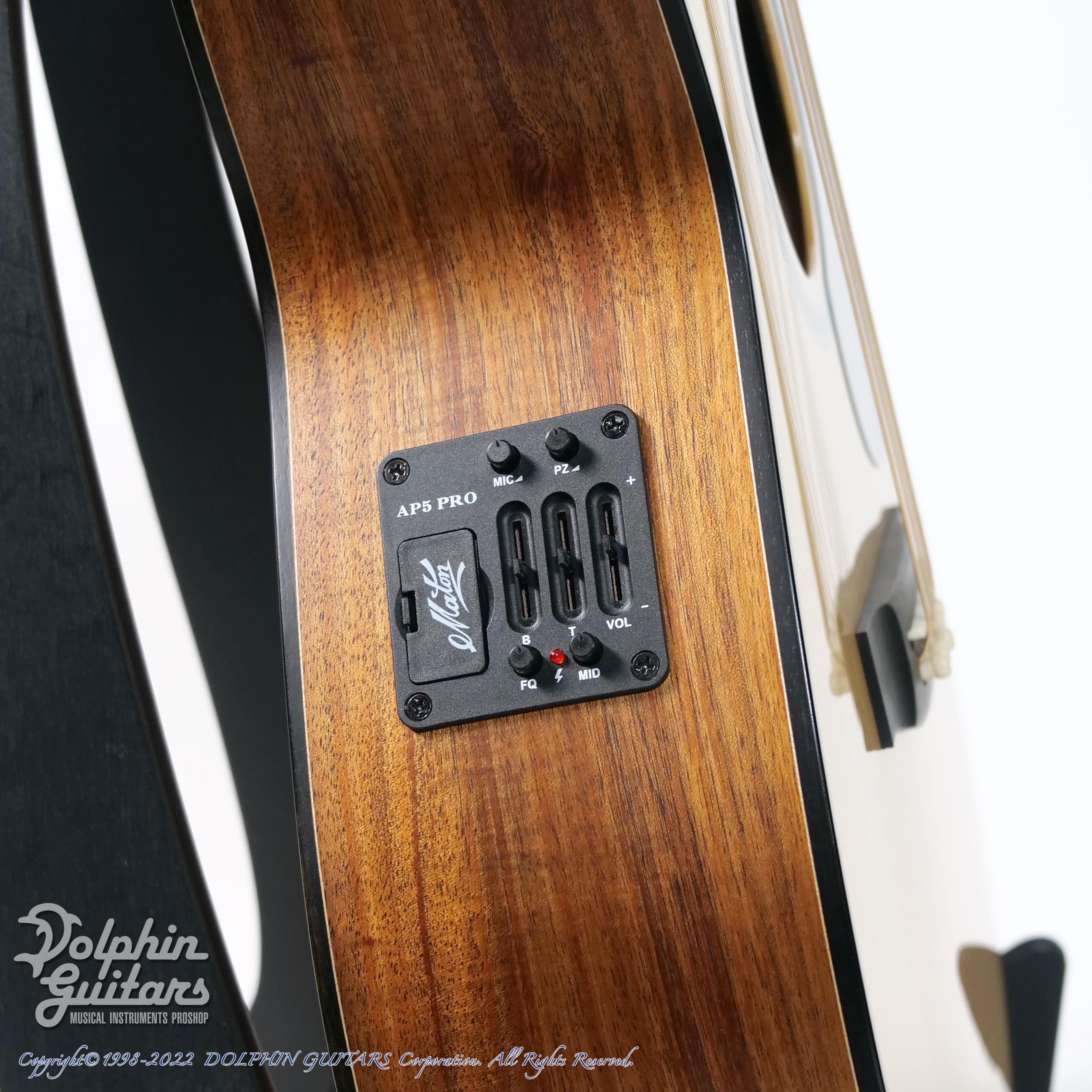 MATON The Vera May - ドルフィンギターズ