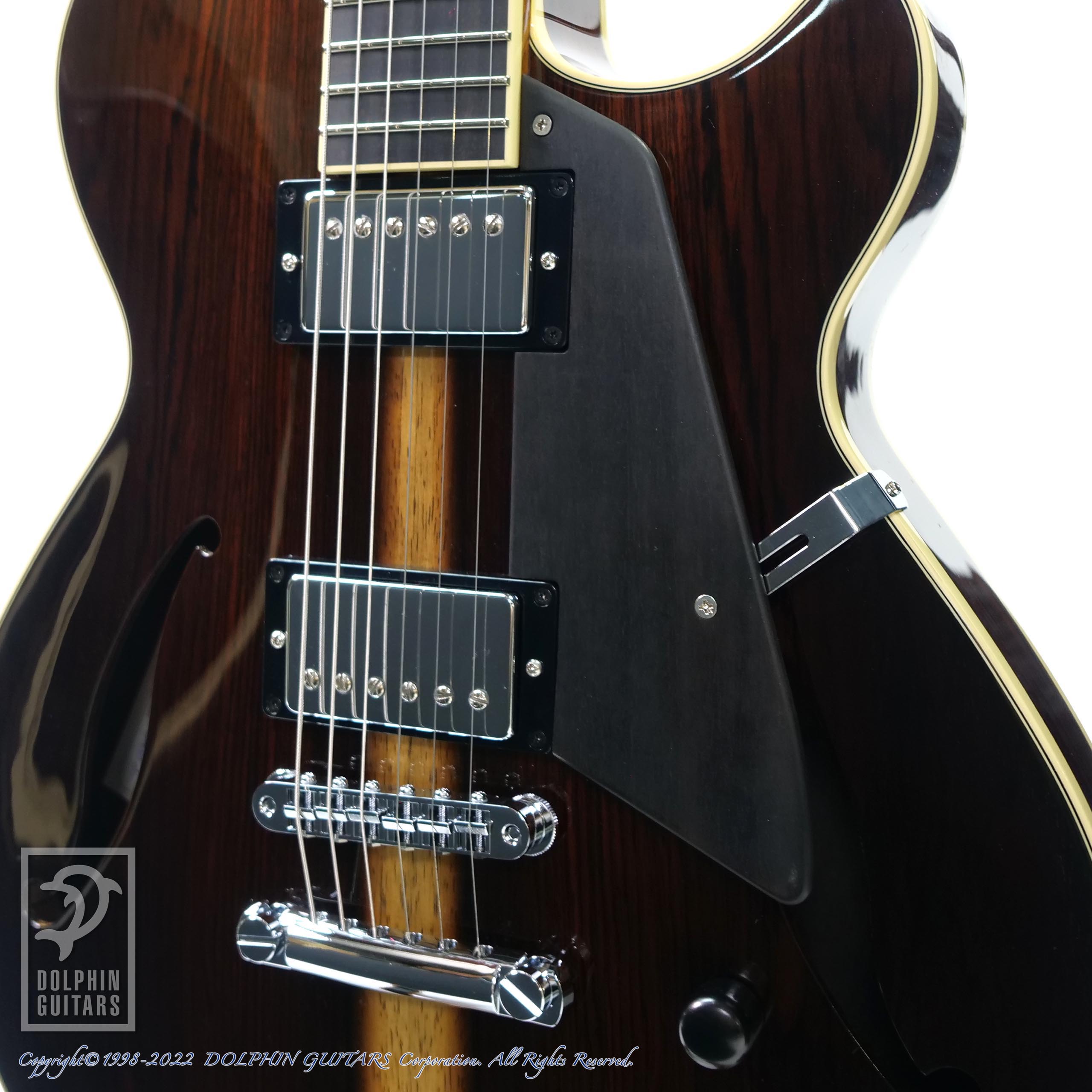 SADOWSKY Semi-Hollow Brazilian Rosewood - ドルフィンギターズ