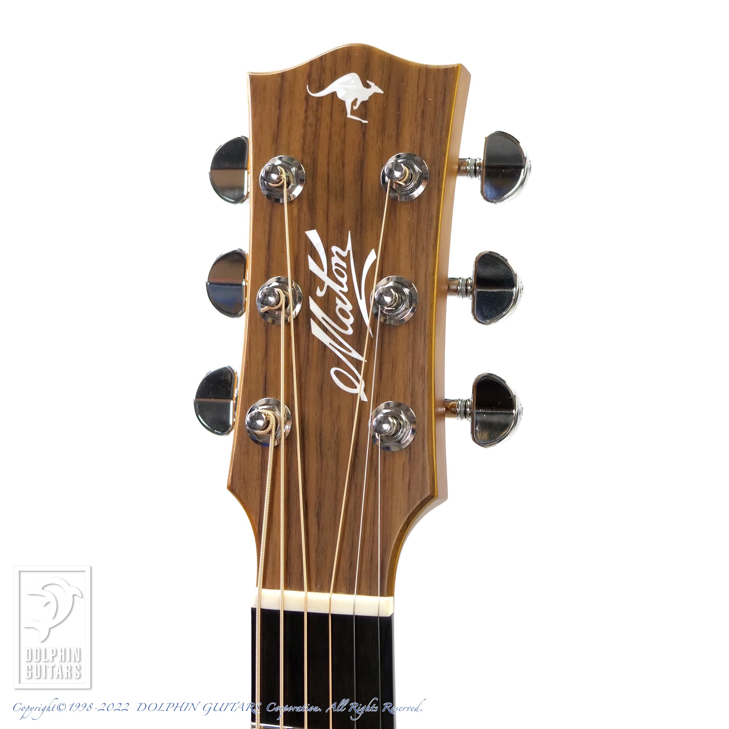 MATON EBG808TE (Tommy Emmanuel Signature) - ドルフィンギターズ