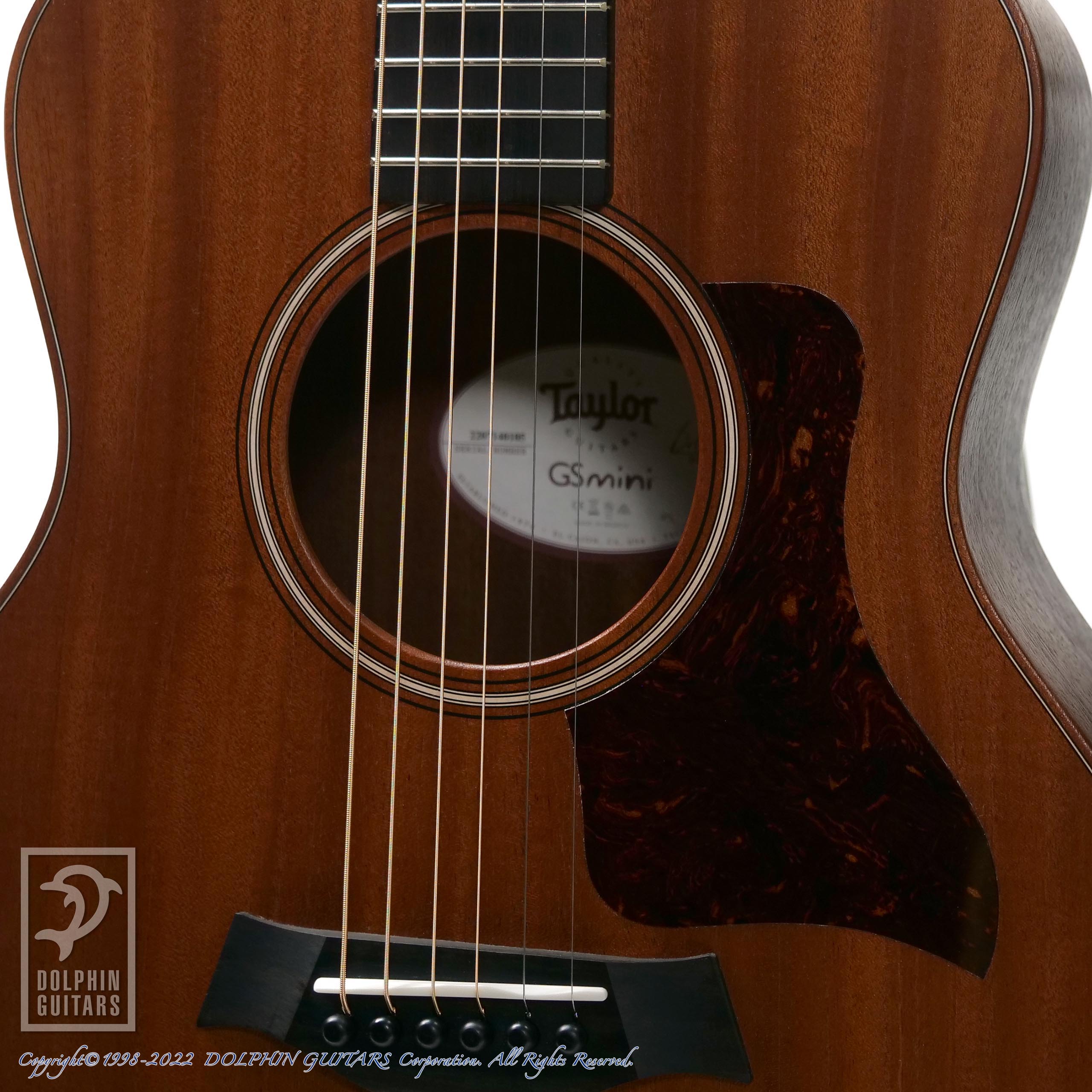 TAYLOR GS Mini maho - ドルフィンギターズ