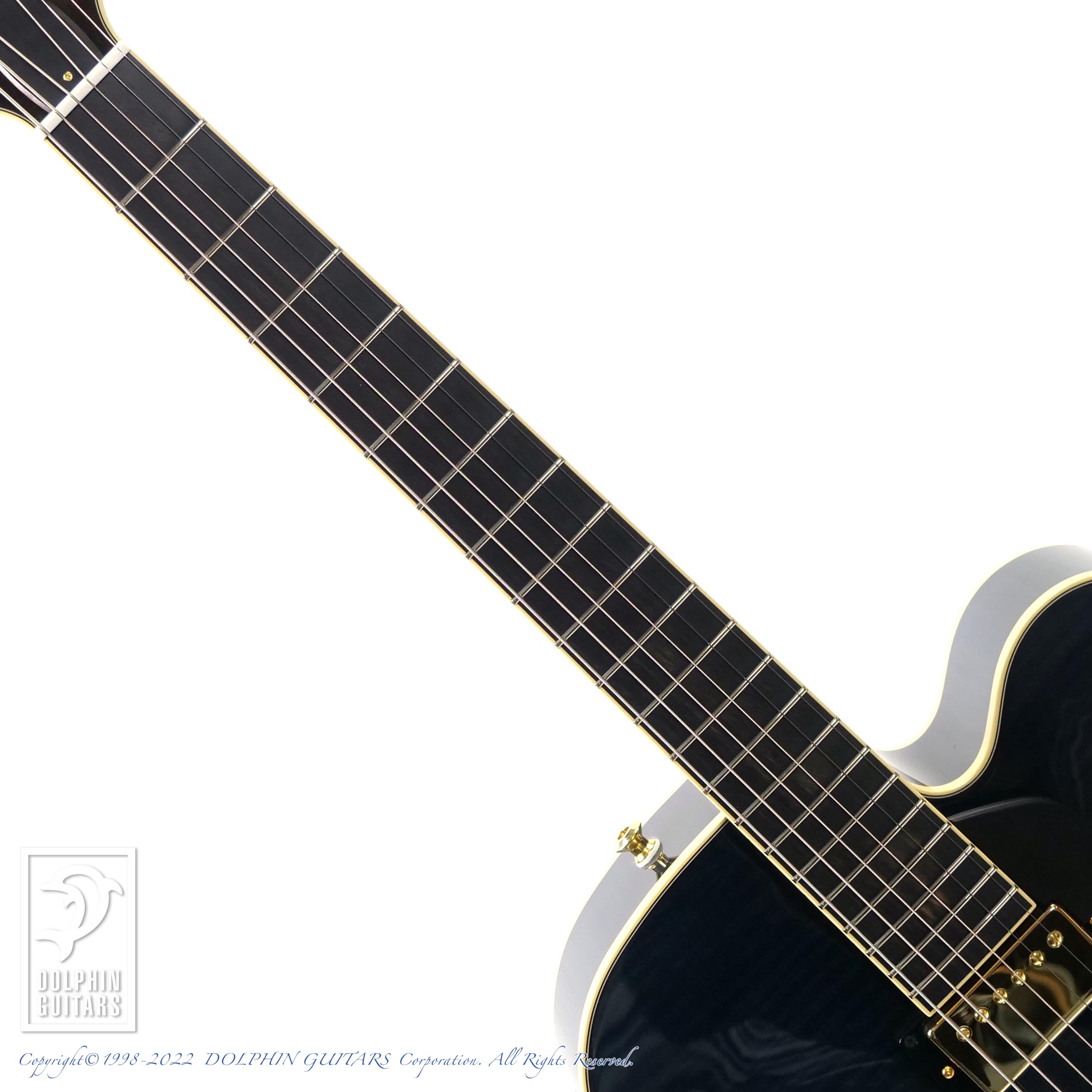 SADOWSKY The Jim Hall Model (TBK) - ドルフィンギターズ