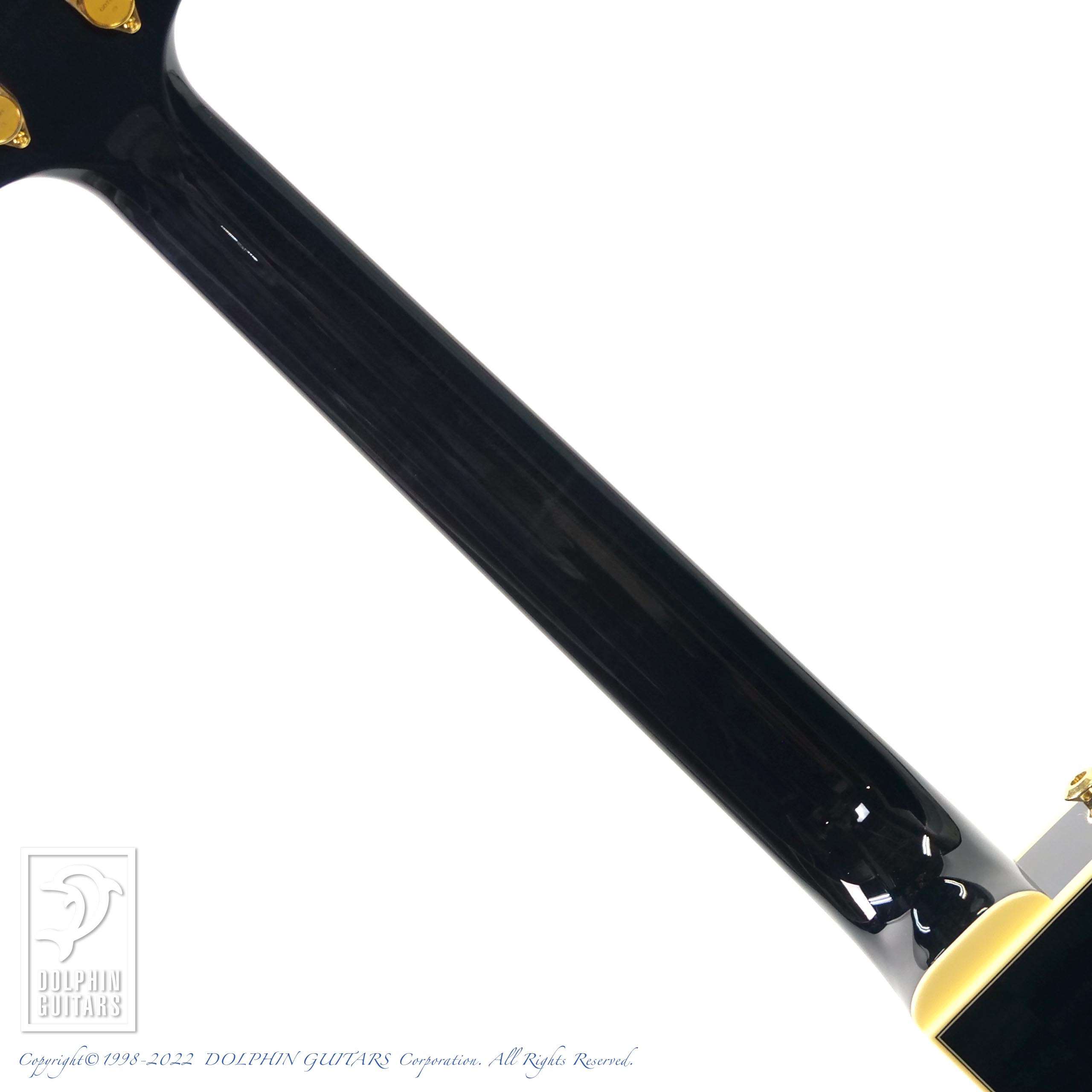 SADOWSKY The Jim Hall Model (TBK) - ドルフィンギターズ