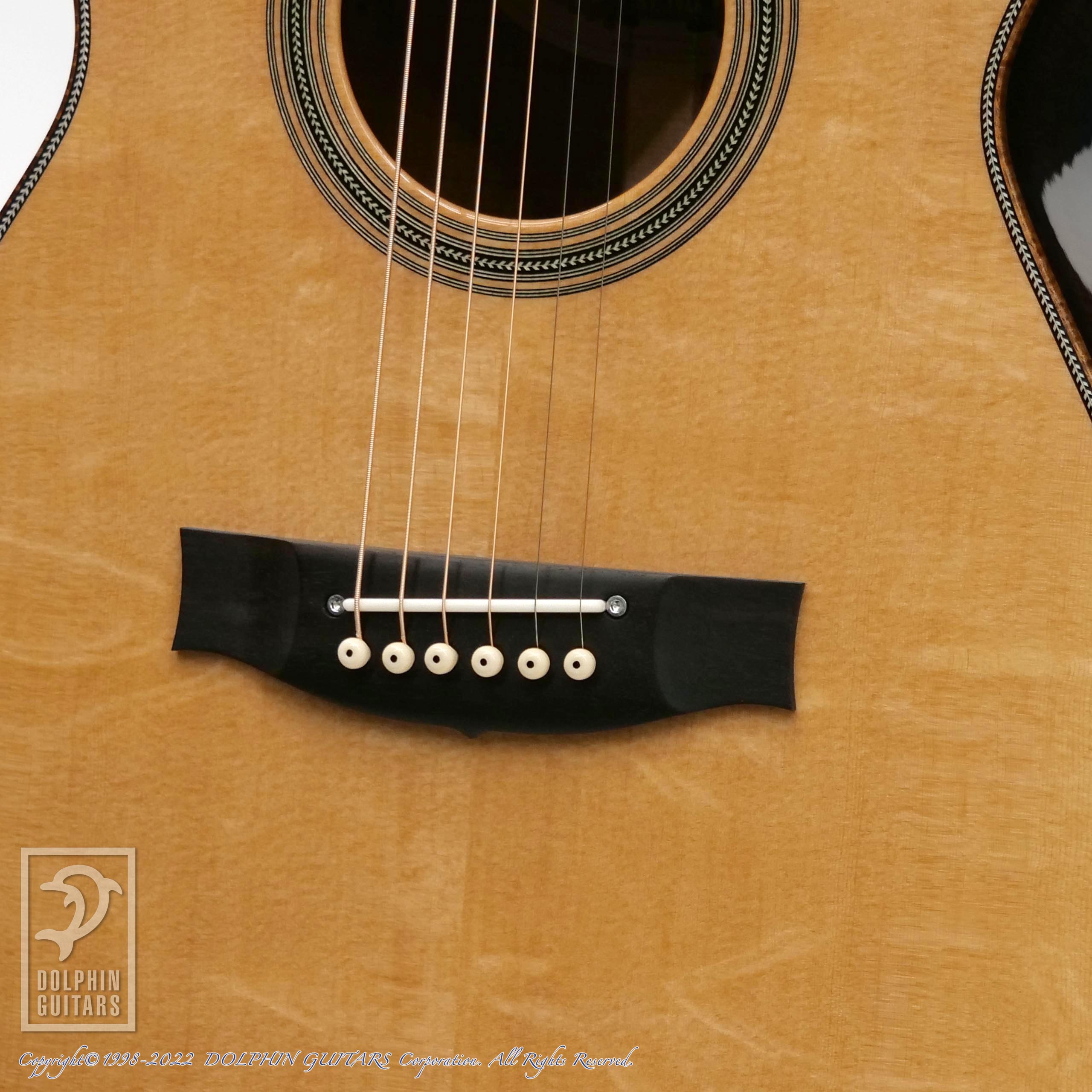 MATON Custom Shop 808C "Fiddleback Blackwood Custom" - ドルフィンギターズ