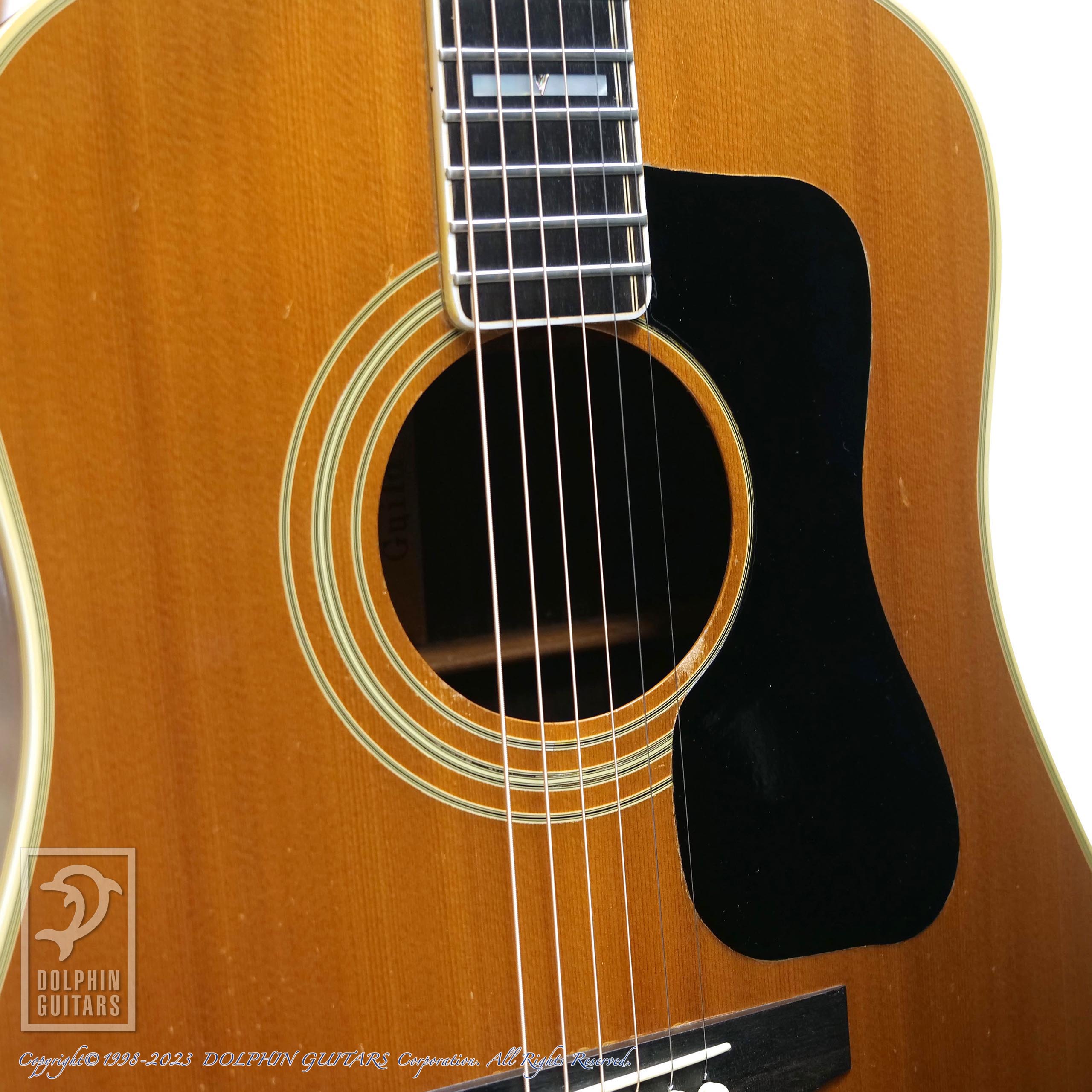 GUILD D-55 - ドルフィンギターズ