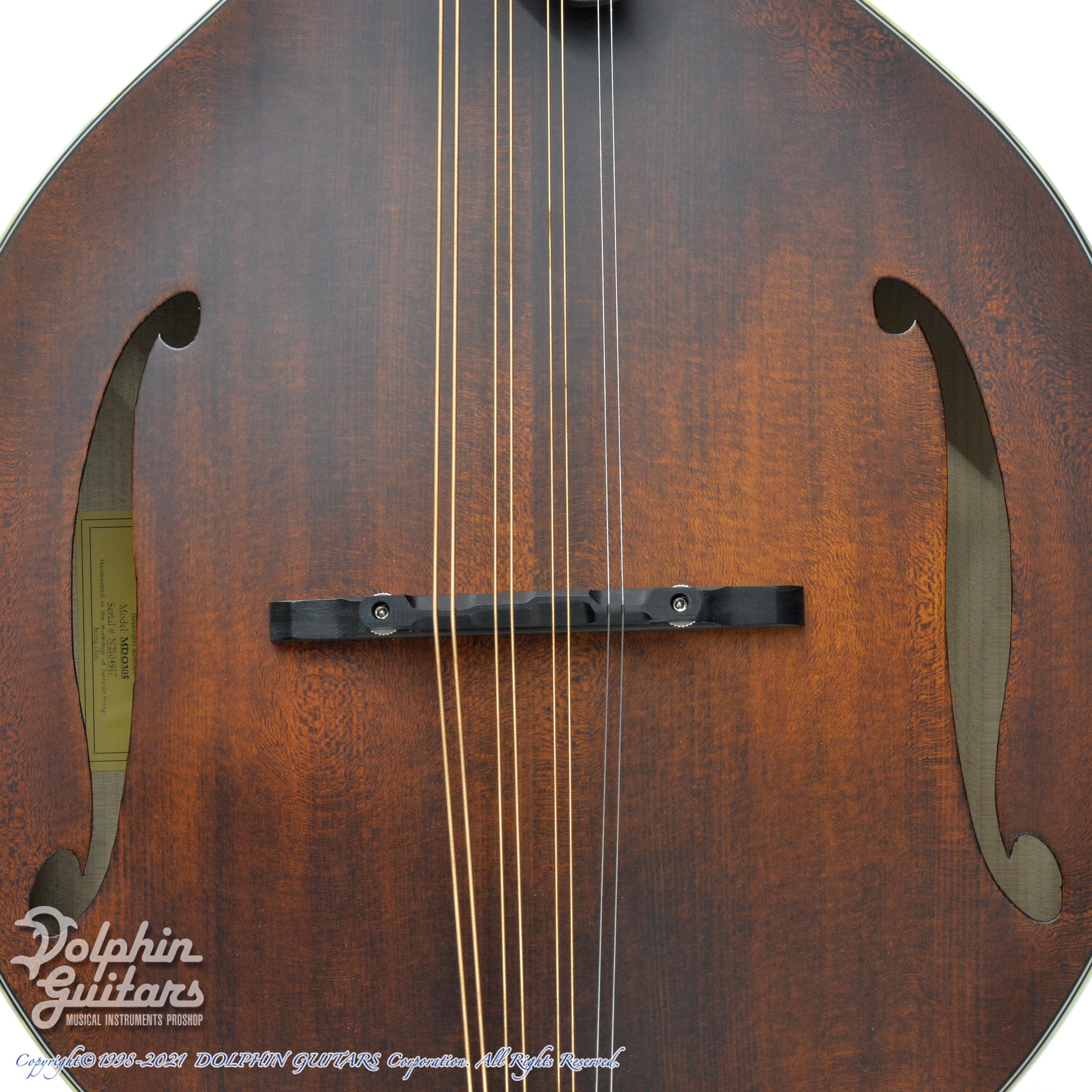 Eastman MDO-305 (Octave Mandolin) - ドルフィンギターズ