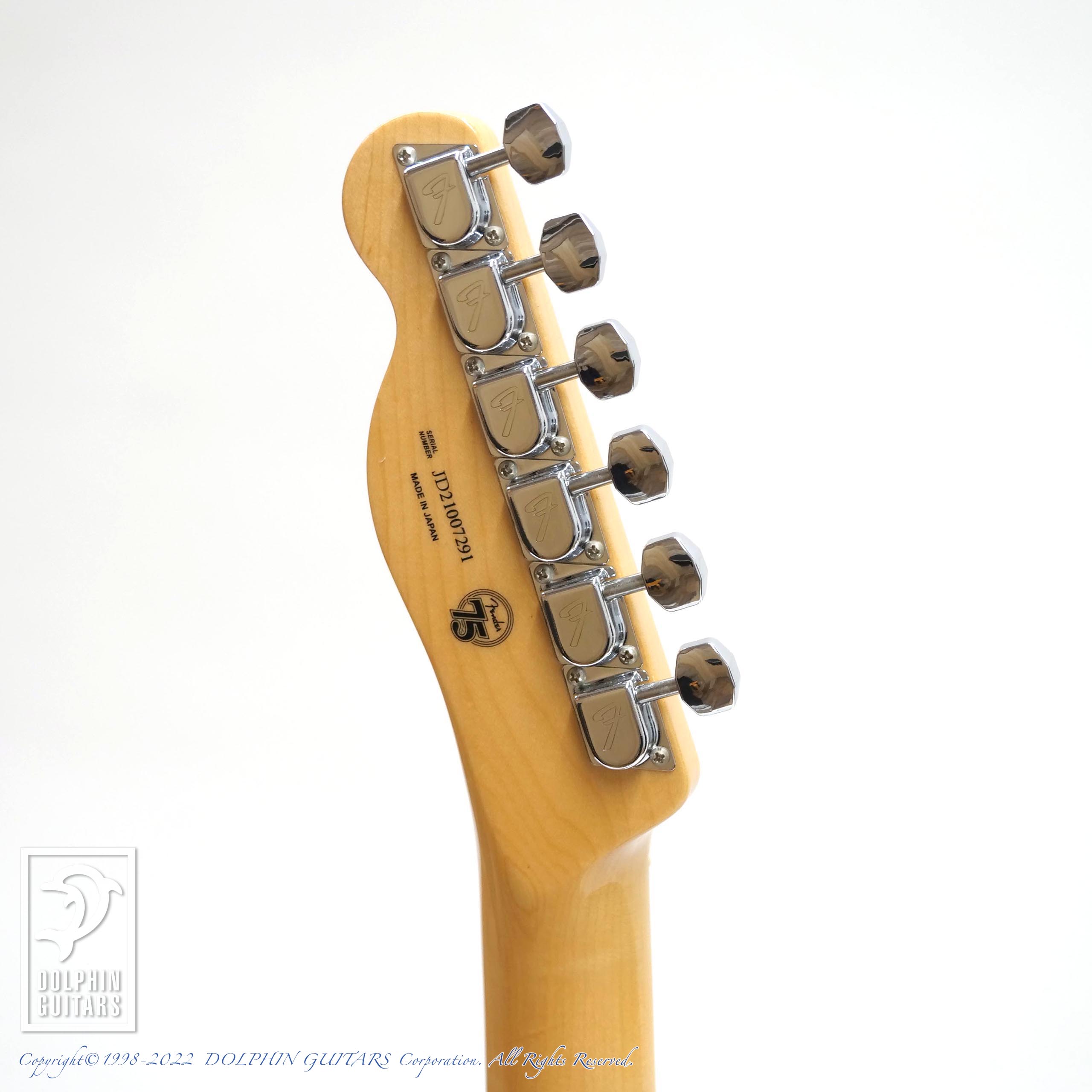 FENDER Made in Japan Heritage 60s Telecaster Thinline - ドルフィンギターズ