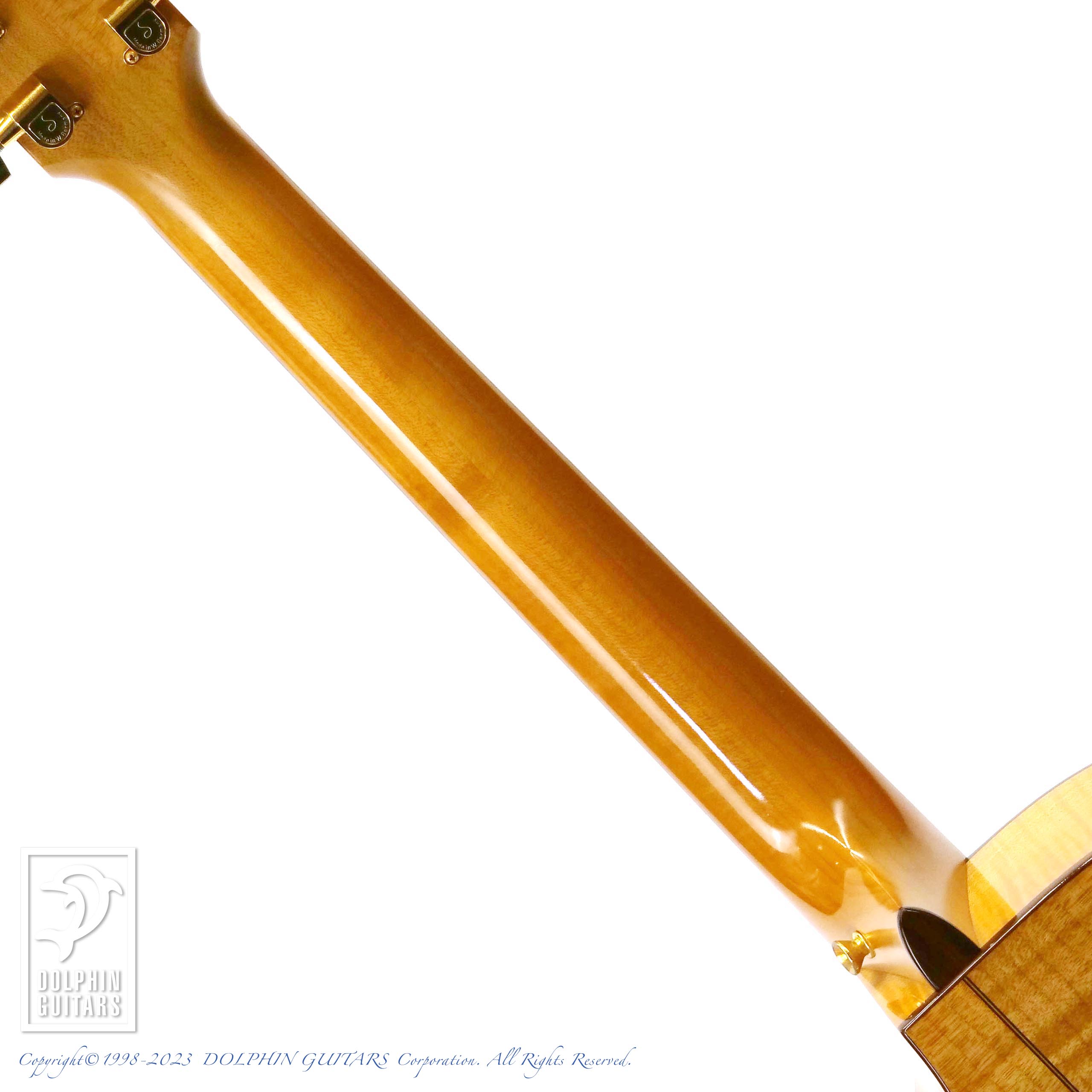 JAMES GOODALL MSC - ドルフィンギターズ