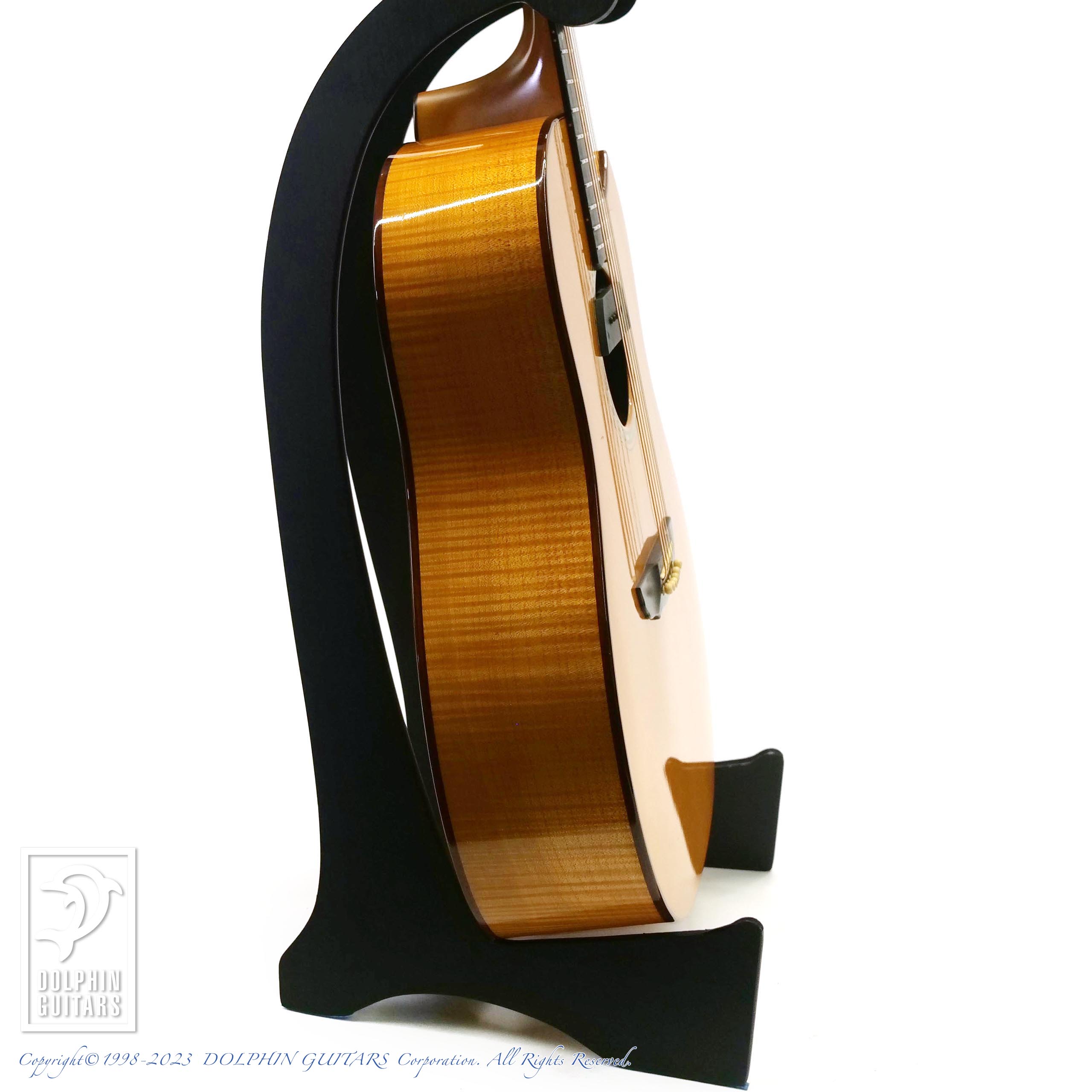 JAMES GOODALL MSC - ドルフィンギターズ