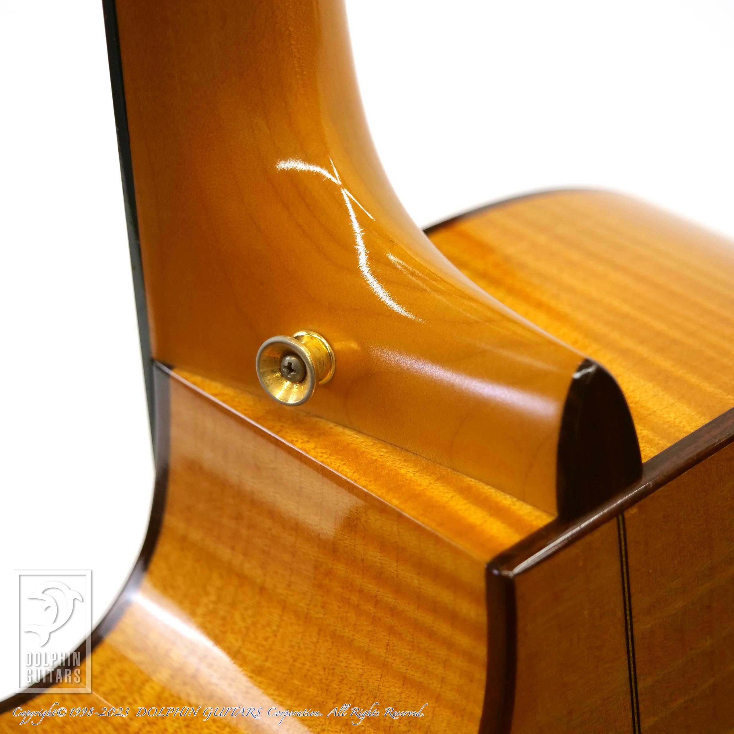 JAMES GOODALL MSC - ドルフィンギターズ