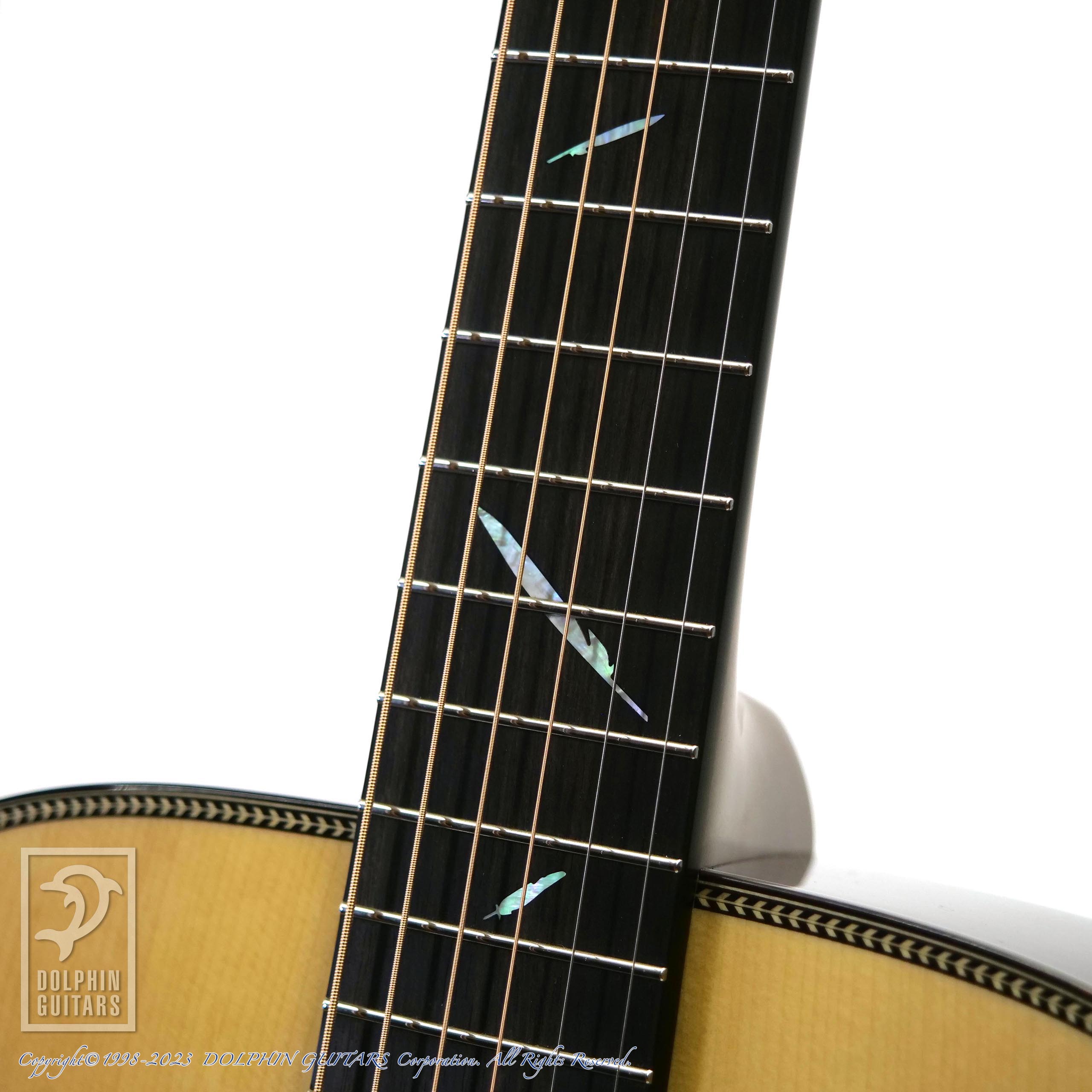HEADWAY The Eagle’23 Type F - ドルフィンギターズ