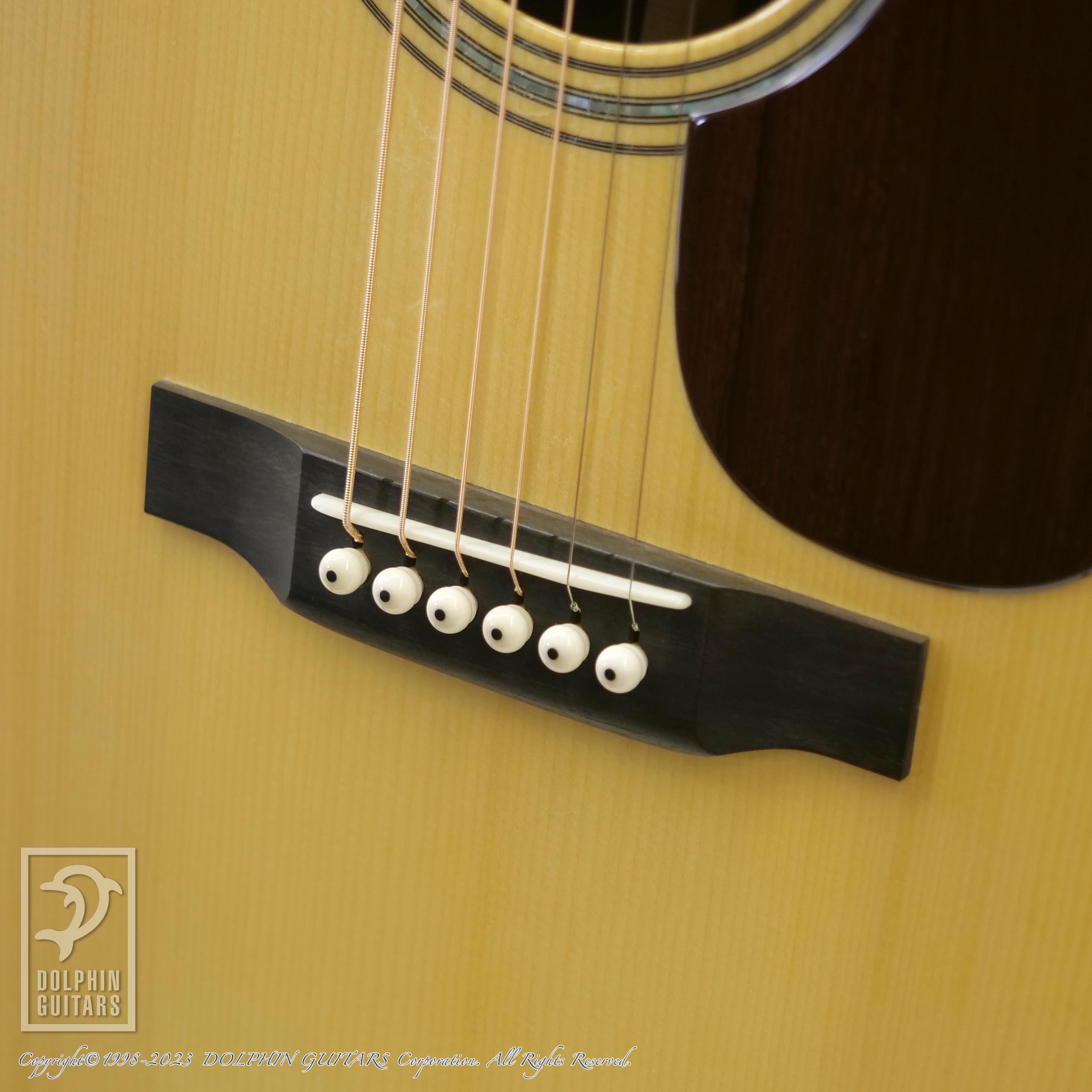 HEADWAY The Eagle’23 Type F - ドルフィンギターズ