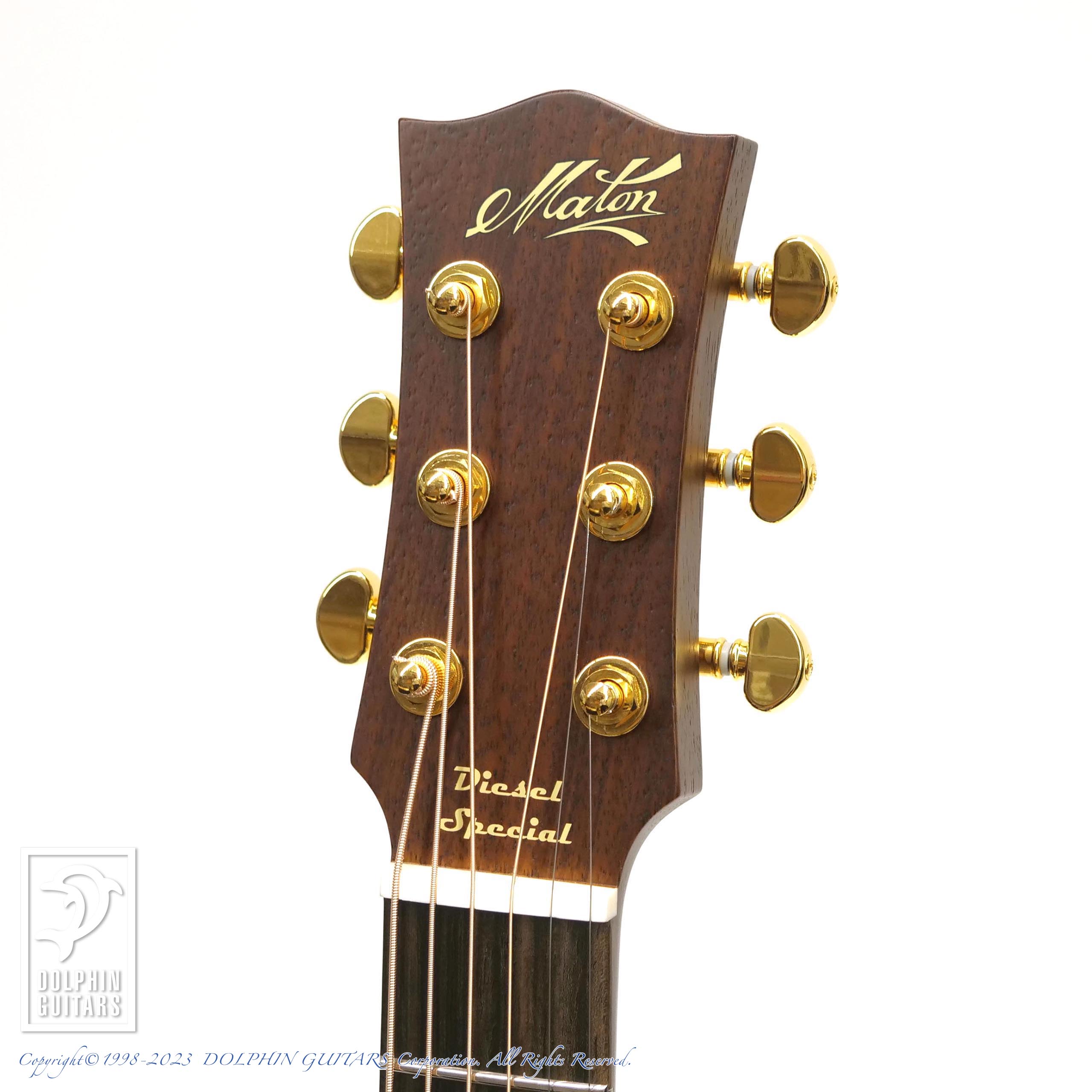 MATON EMD6 (Mini Maton Diesel Special) - ドルフィンギターズ