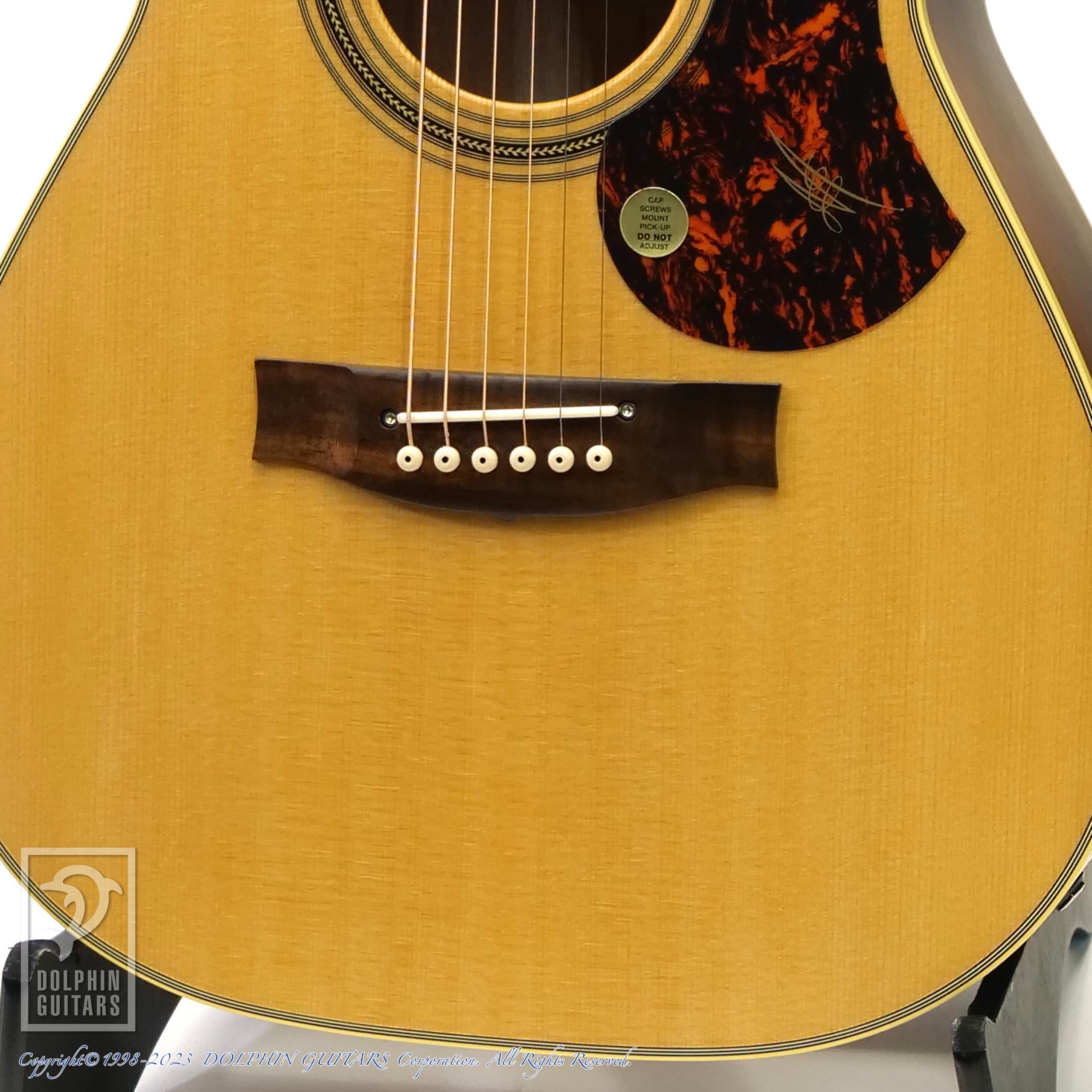 MATON EBG808CTE (Tommy Emmanuel Signature) - ドルフィンギターズ