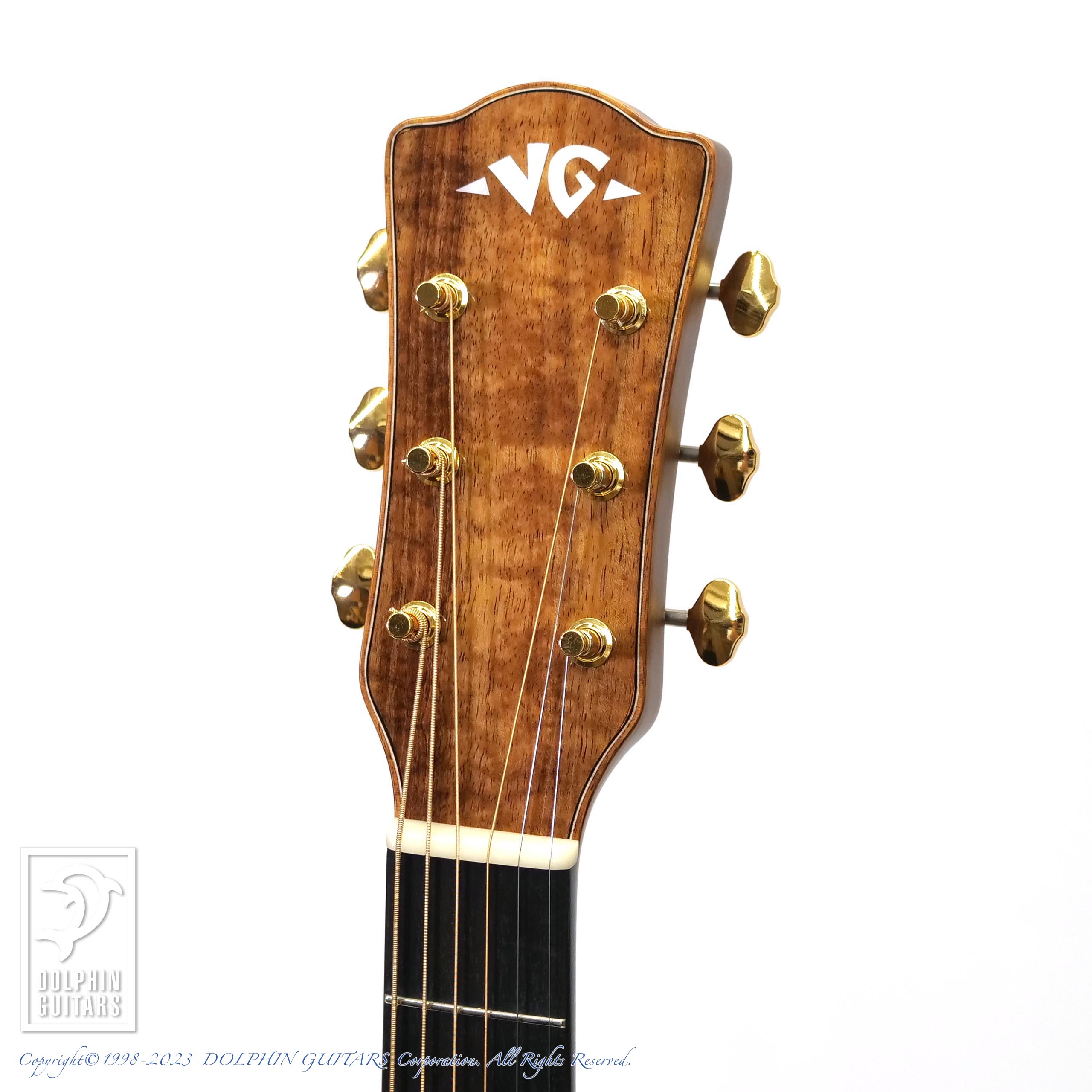 VG VG-00 Black Wood Ltd - ドルフィンギターズ