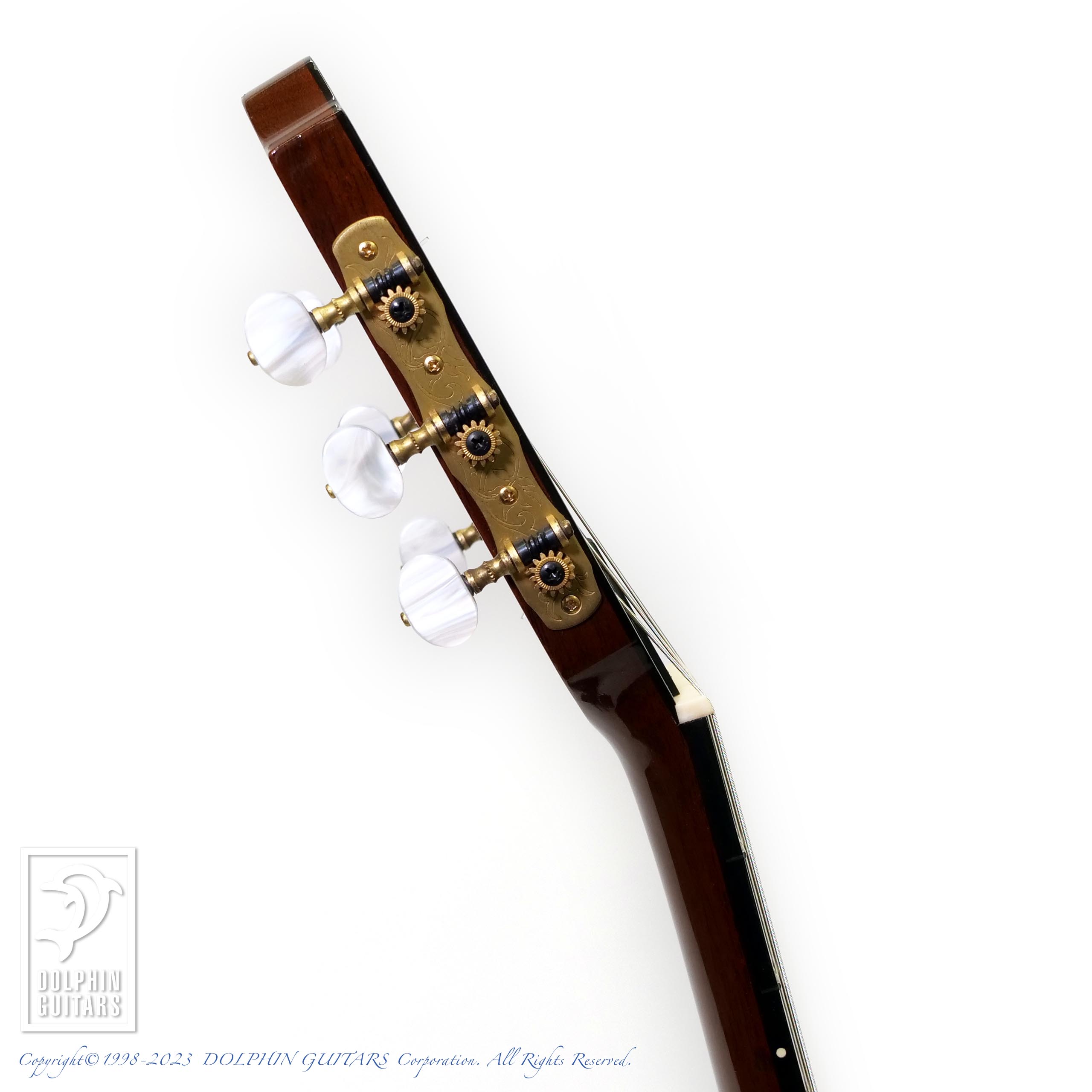 TSK TSK-G3 - ドルフィンギターズ