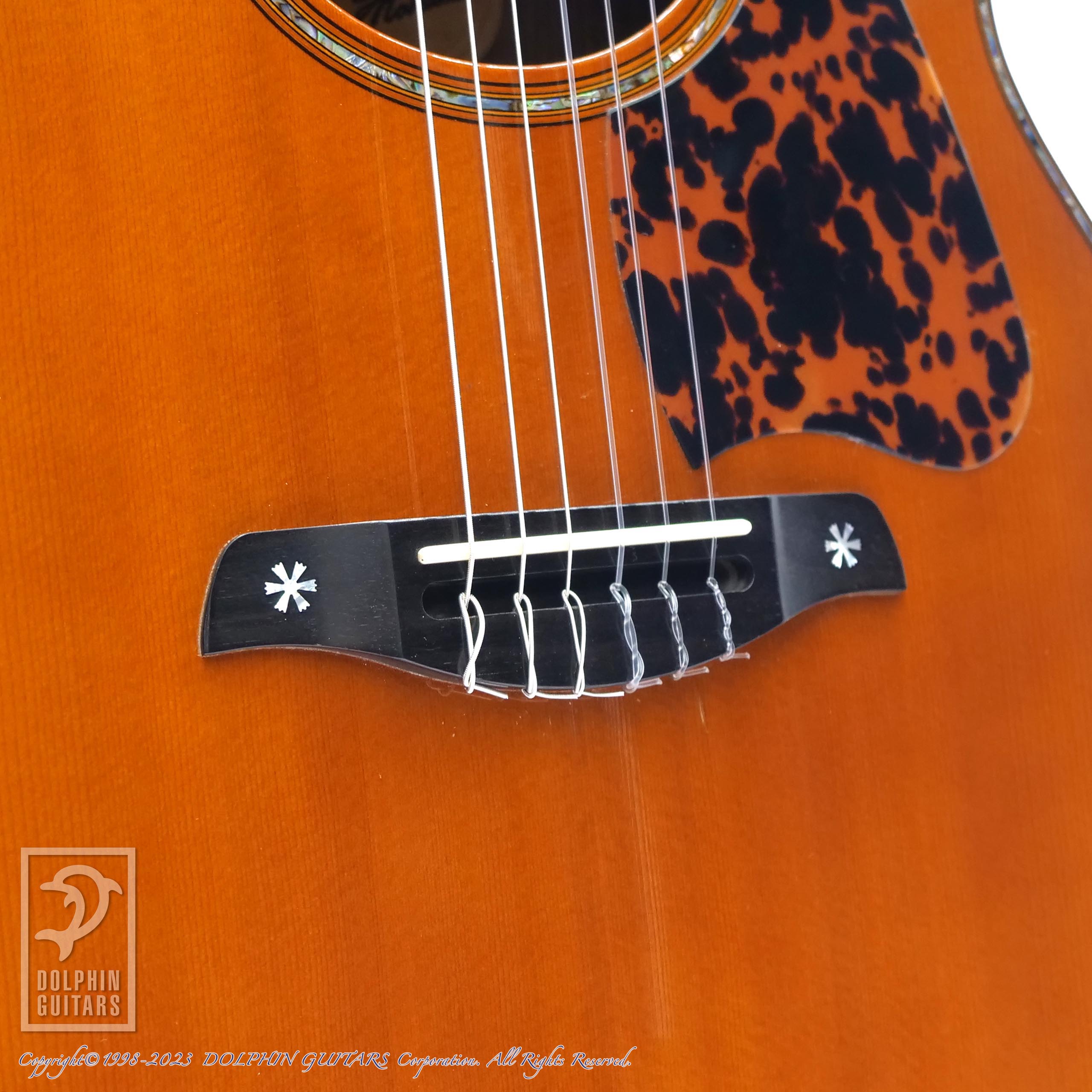 TSK TSK-G3 - ドルフィンギターズ