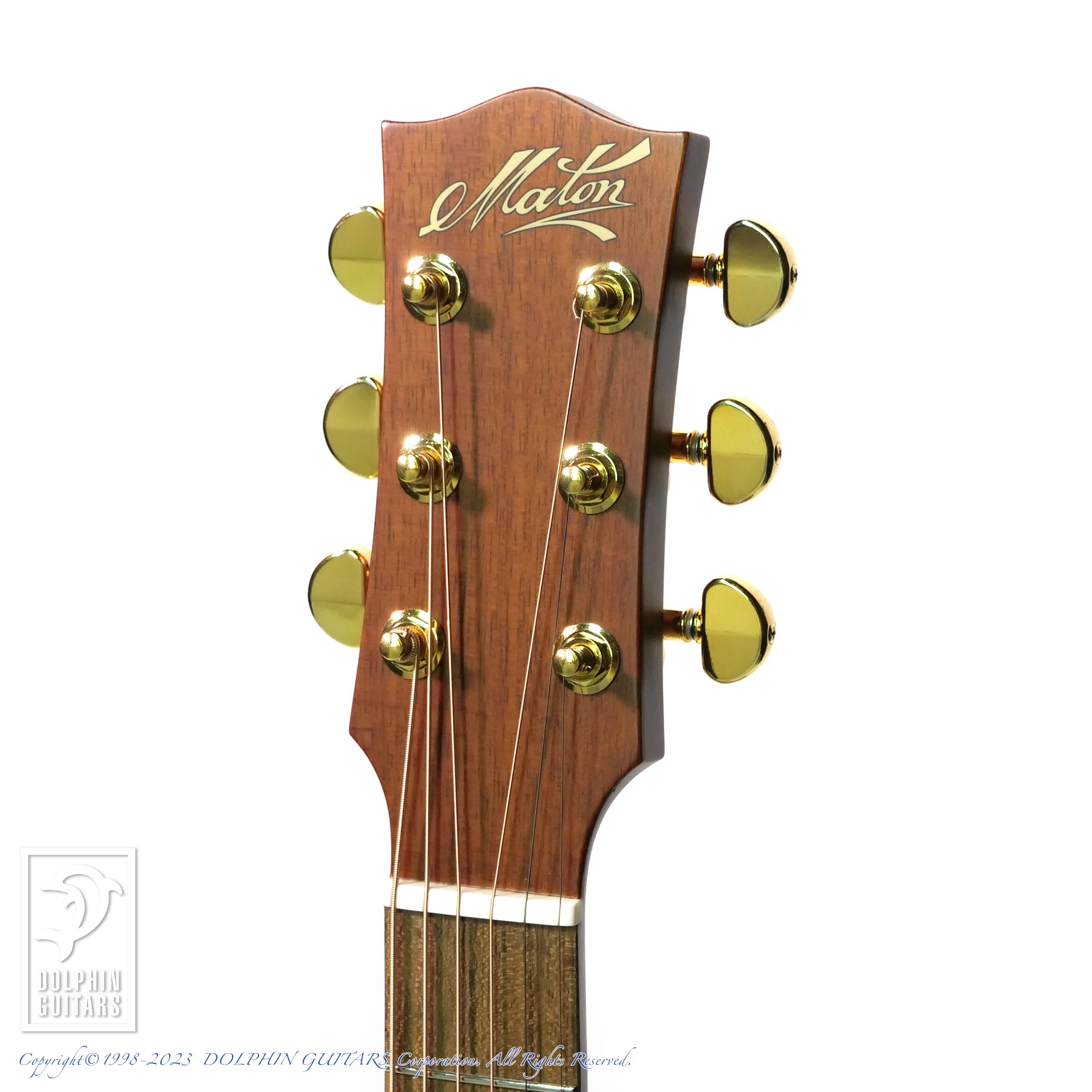 MATON Performer 2023 Limited Model (Orange Mouse) - ドルフィンギターズ