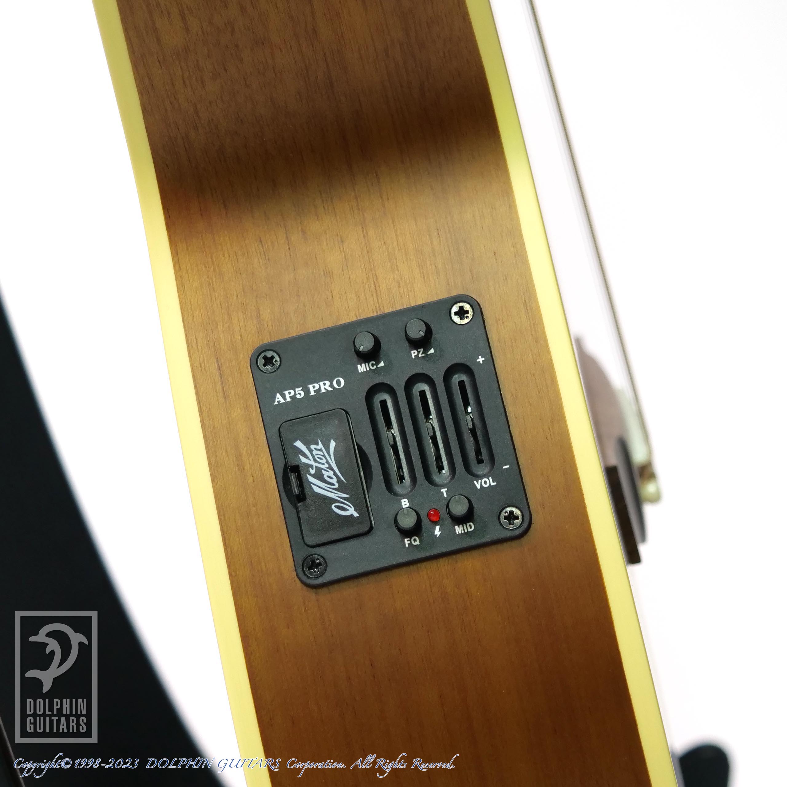 MATON Performer 2023 Limited Model (Orange Mouse) - ドルフィンギターズ