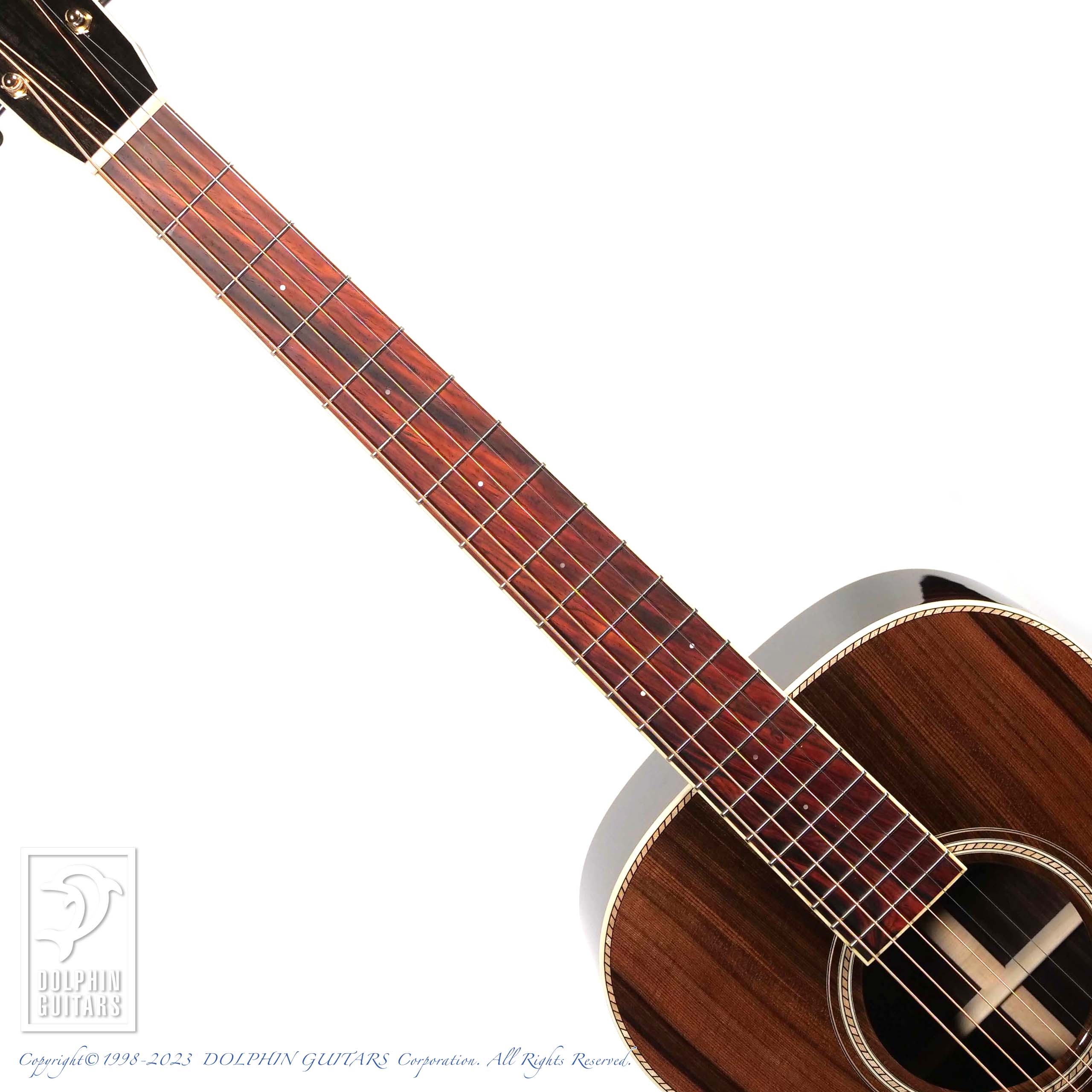 SANTA CRUZ H Model Custom - ドルフィンギターズ