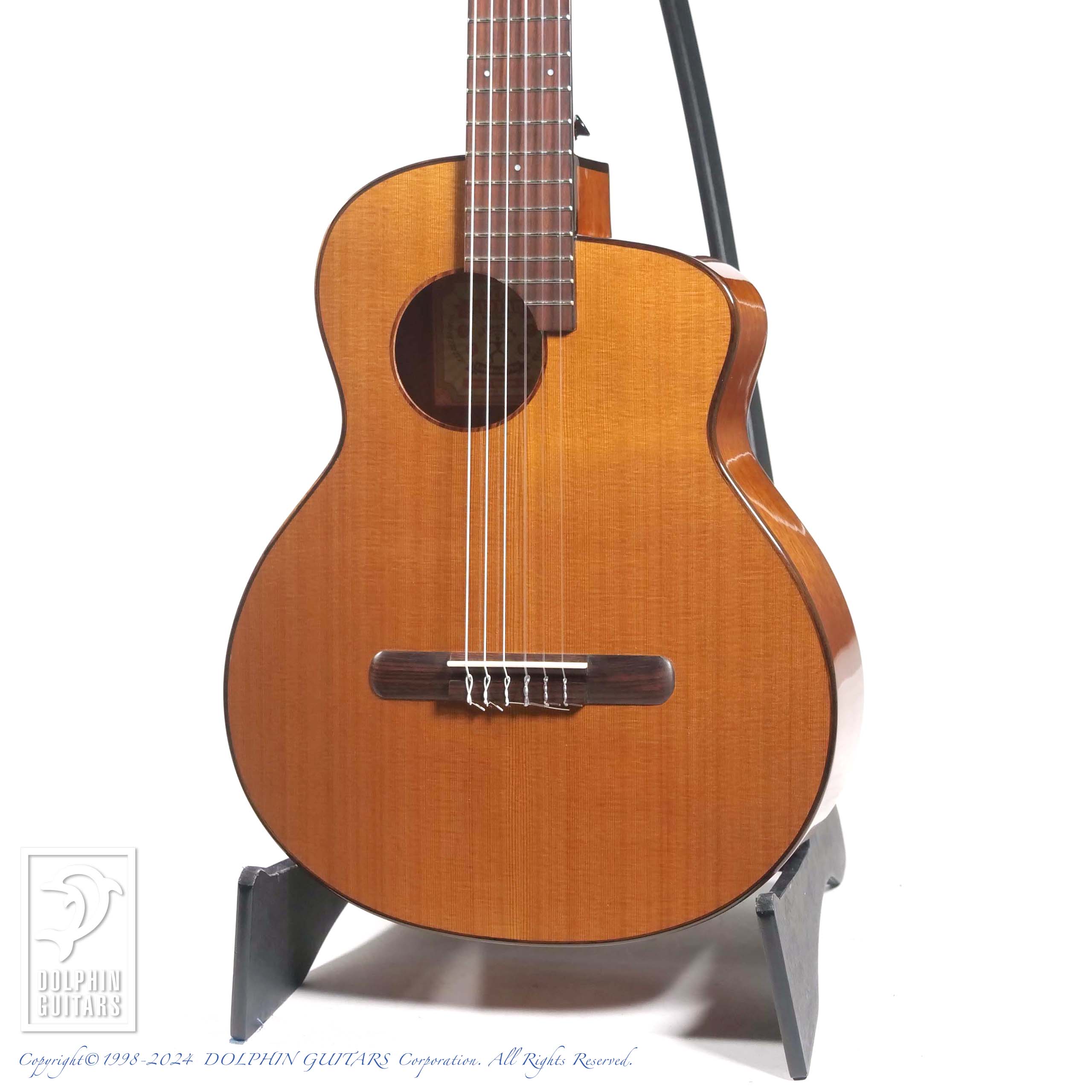 aNueNue aNN-MN14 (Nylon Strings) - ドルフィンギターズ