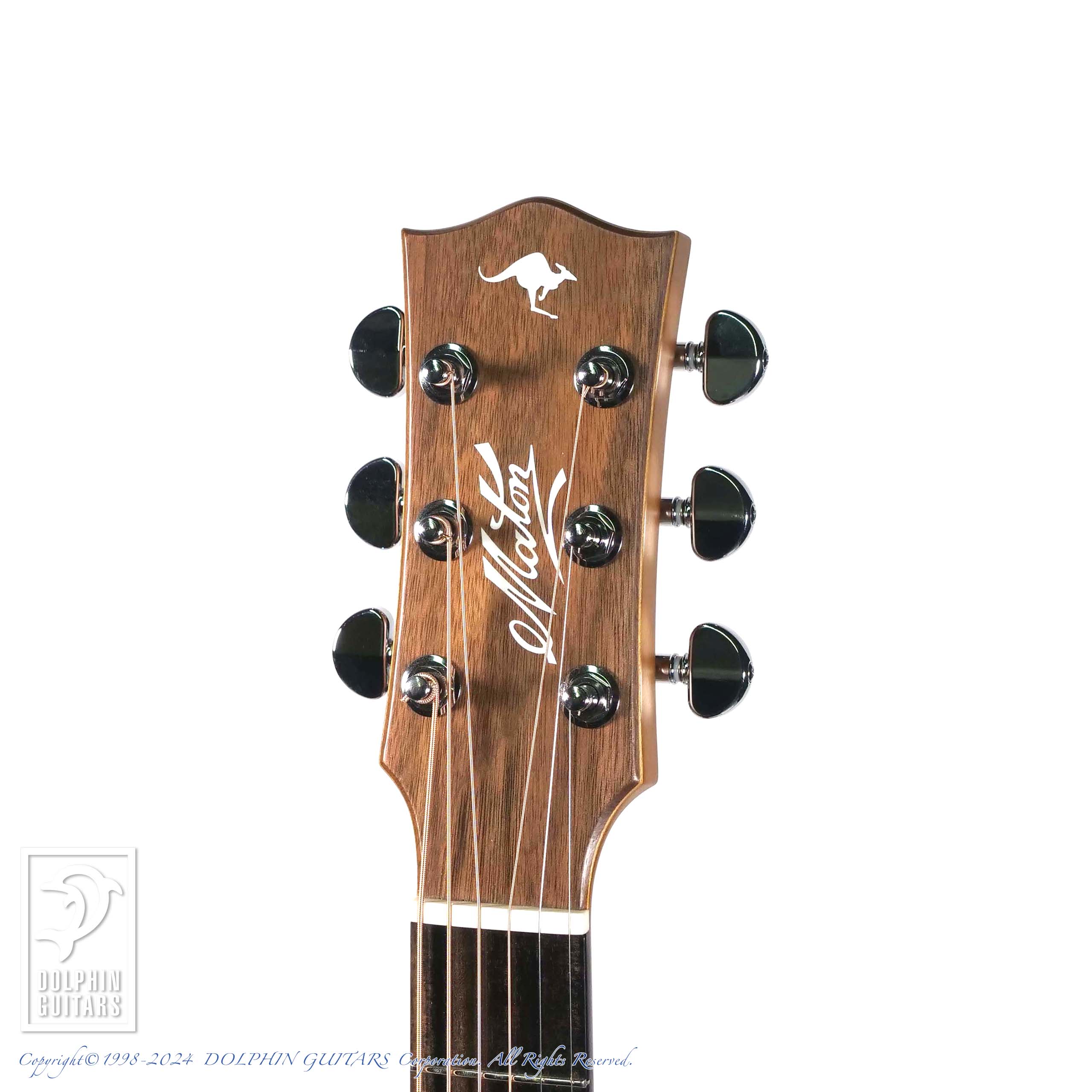 MATON EBG808TE (Tommy Emmanuel Signature) - ドルフィンギターズ