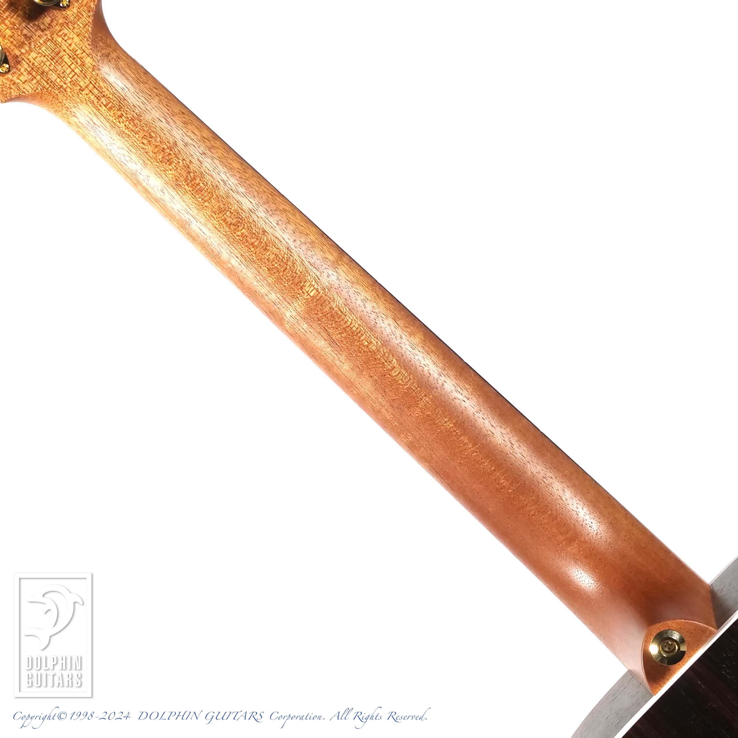 MATON ER90 Traditional - ドルフィンギターズ